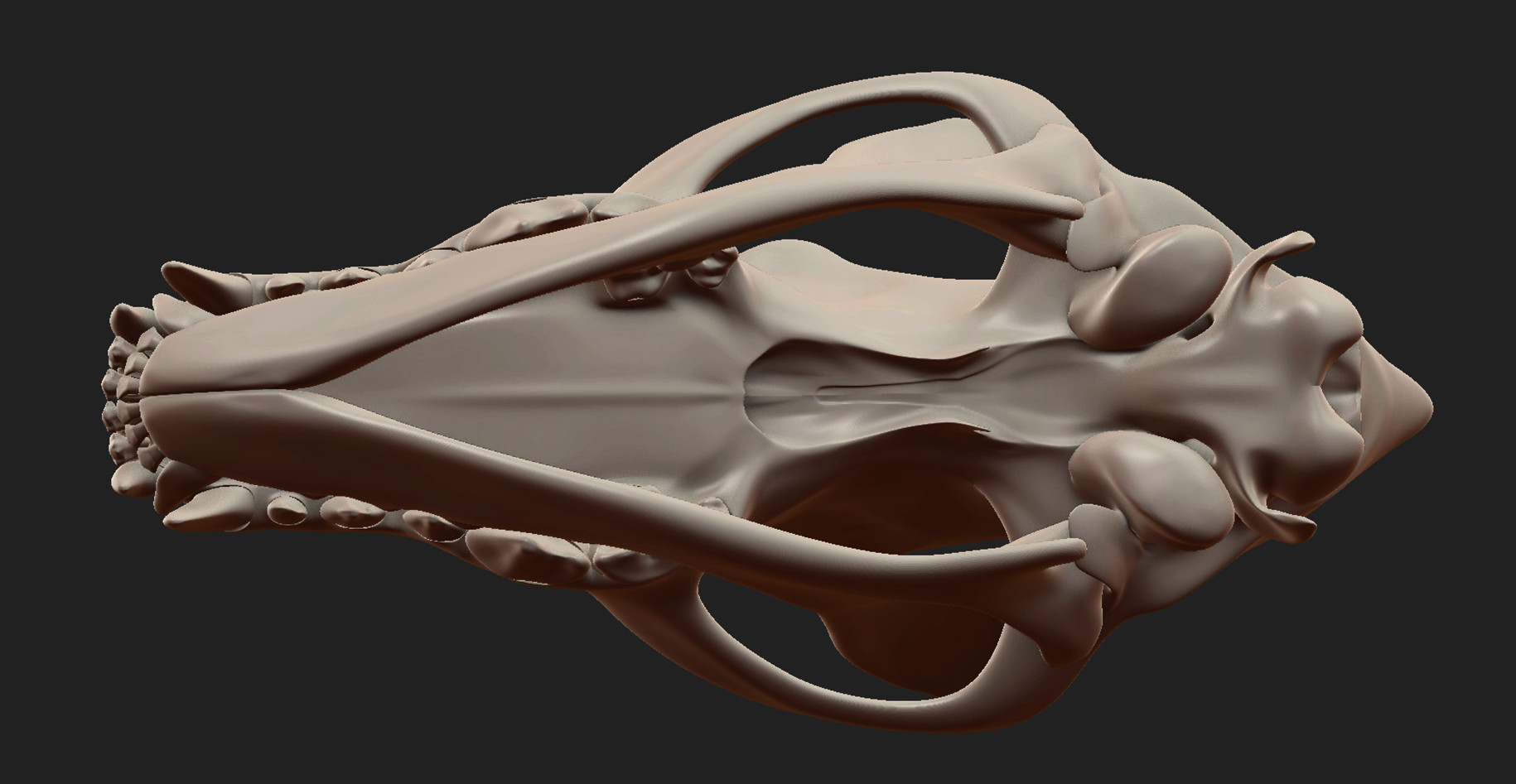 Inês Carrilho - Dog Skull - Orthographic View