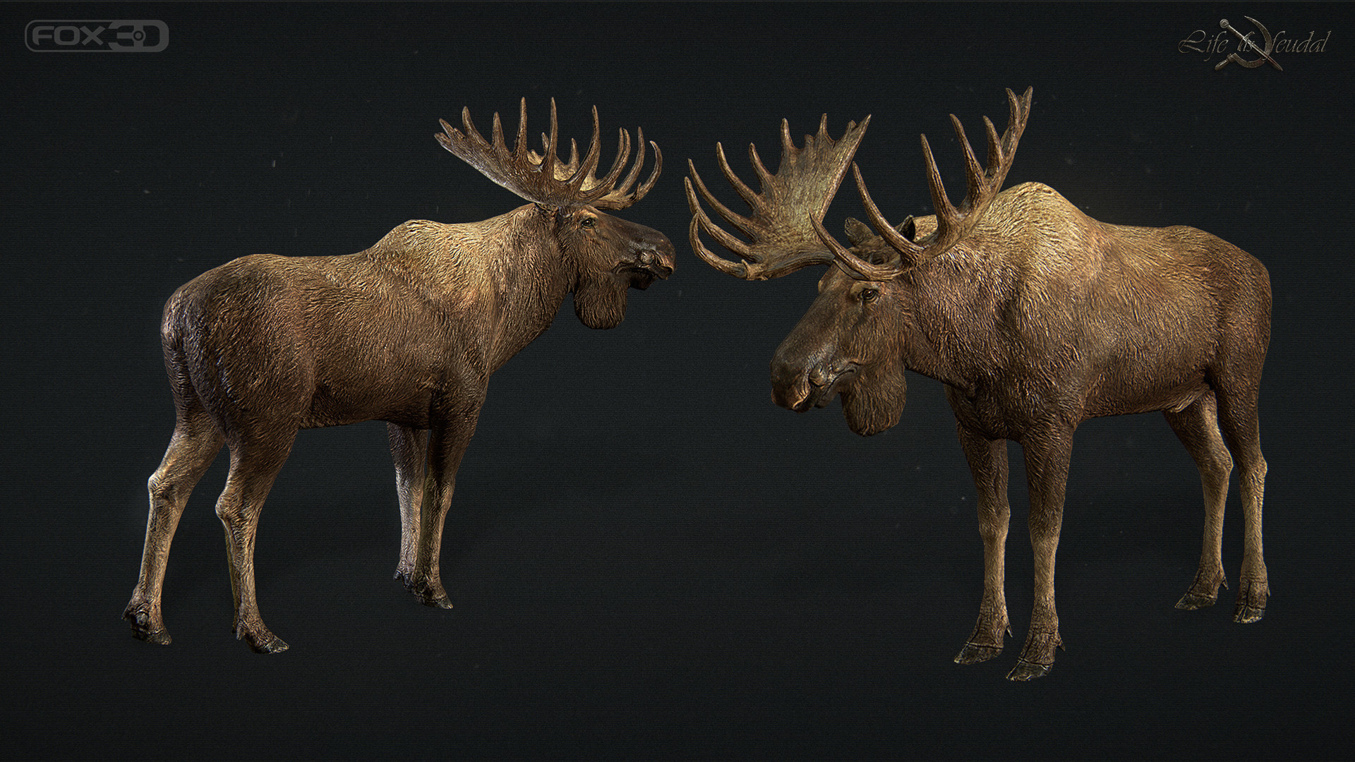 ArtStation - Moose