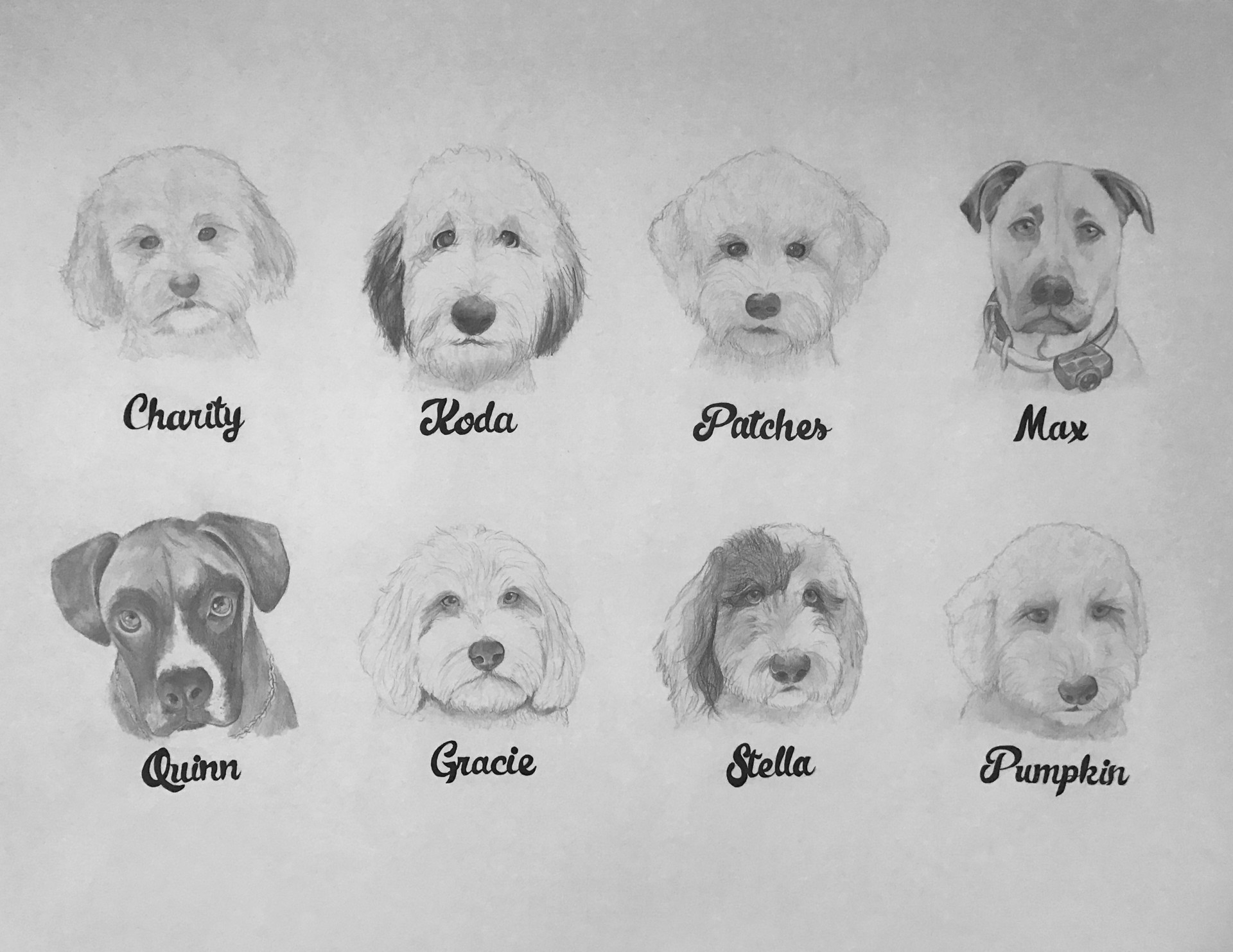 ArtStation - Family Dogs - My First Commission