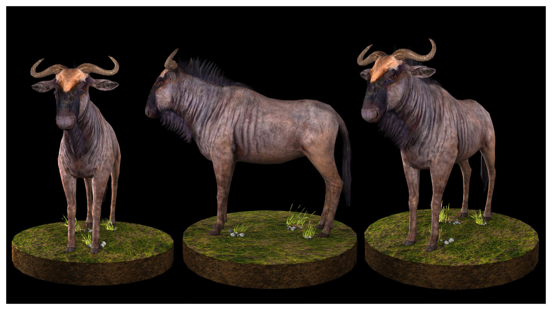 ArtStation - Wildebeest