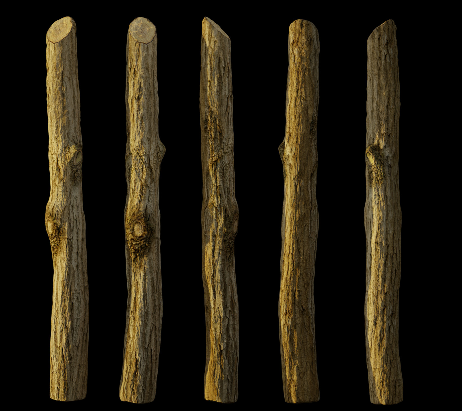 Mike Irons - Photorealistic Tree Branch Attempt