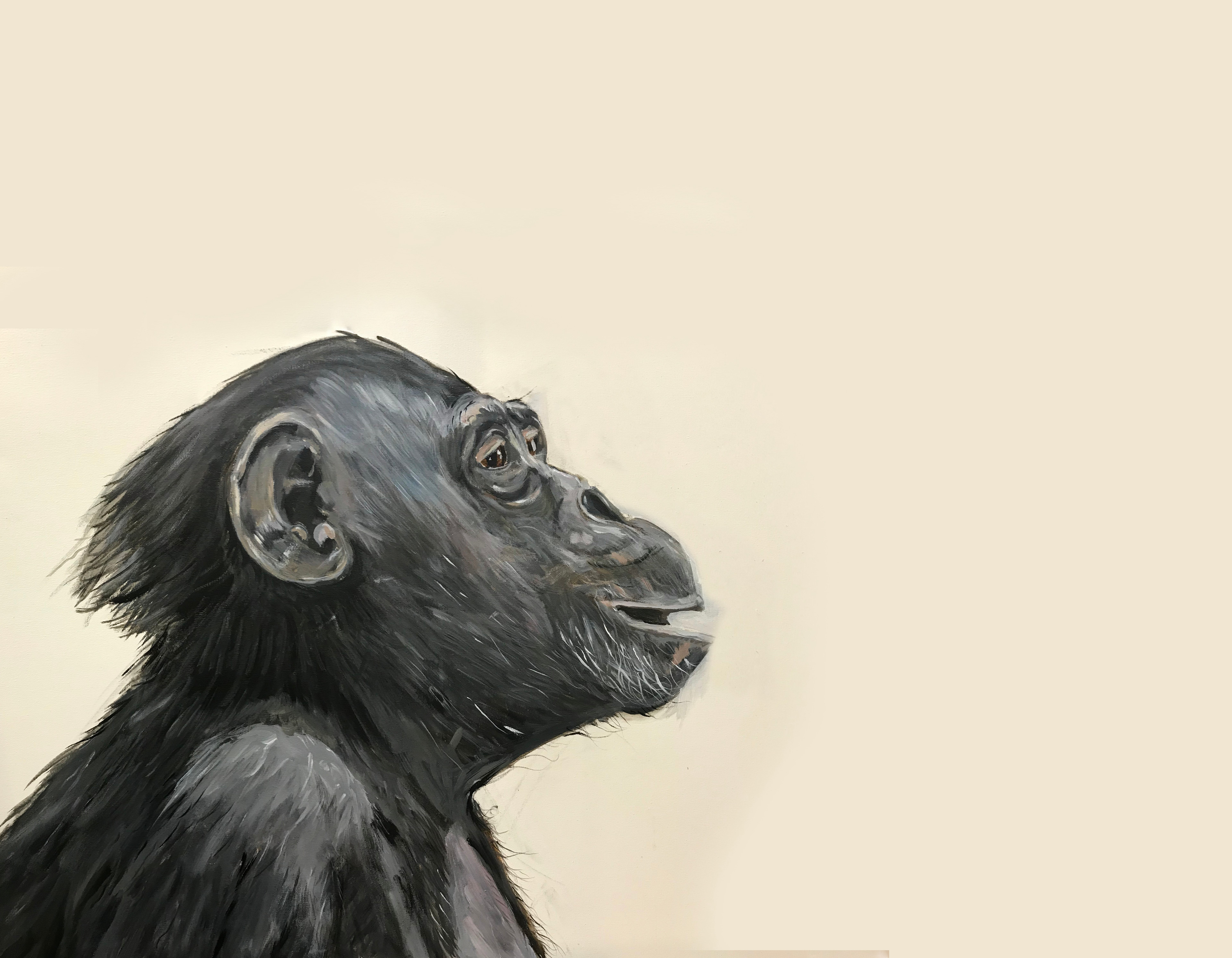 Richard Cave - Chimp Paint Study