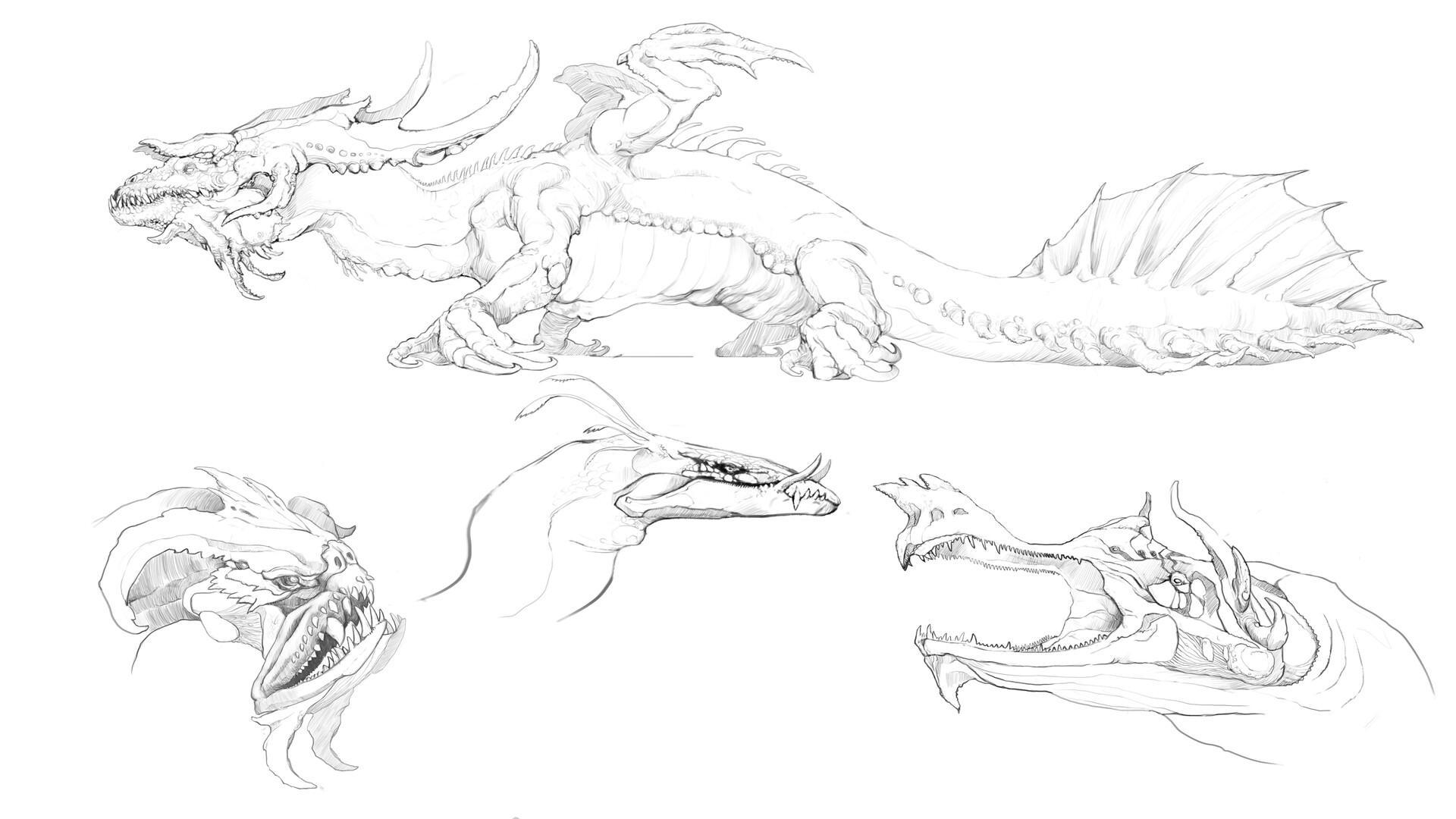 ArtStation - Practice Sketch: Mranie Dragon