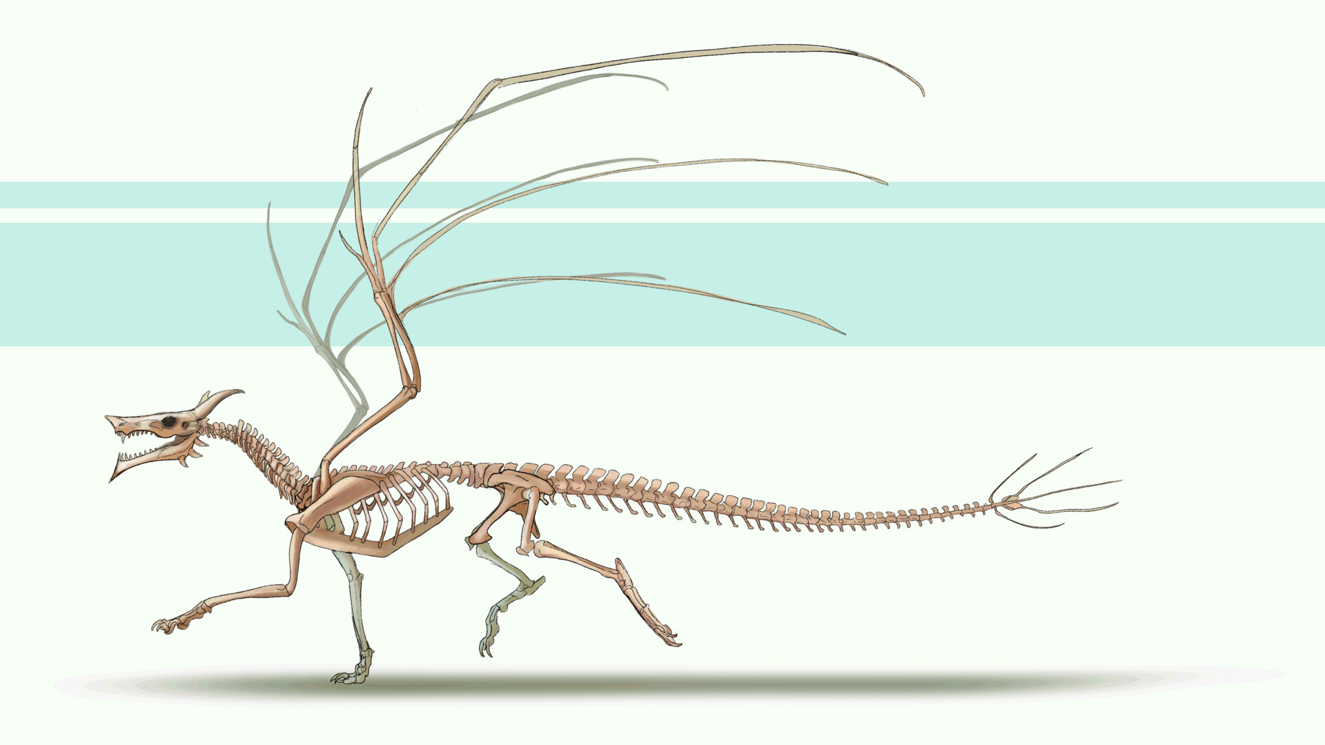 ArtStation - Anatomy of a Light Dragon