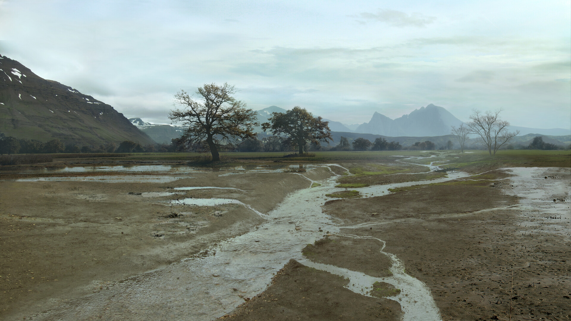 ArtStation - Marsh DMP