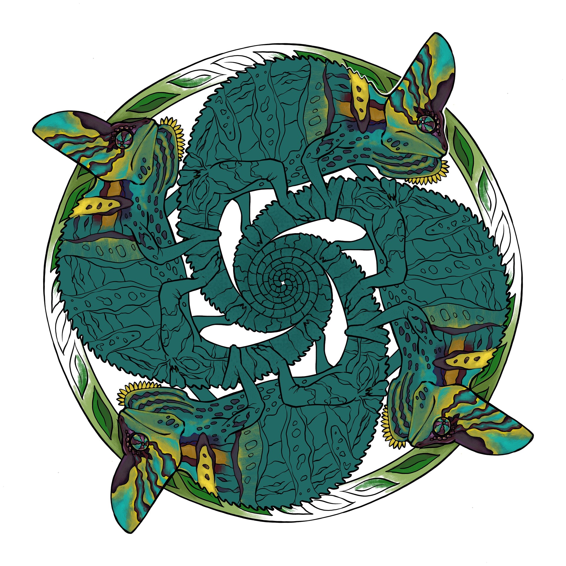 veiled chameleon coloring pages