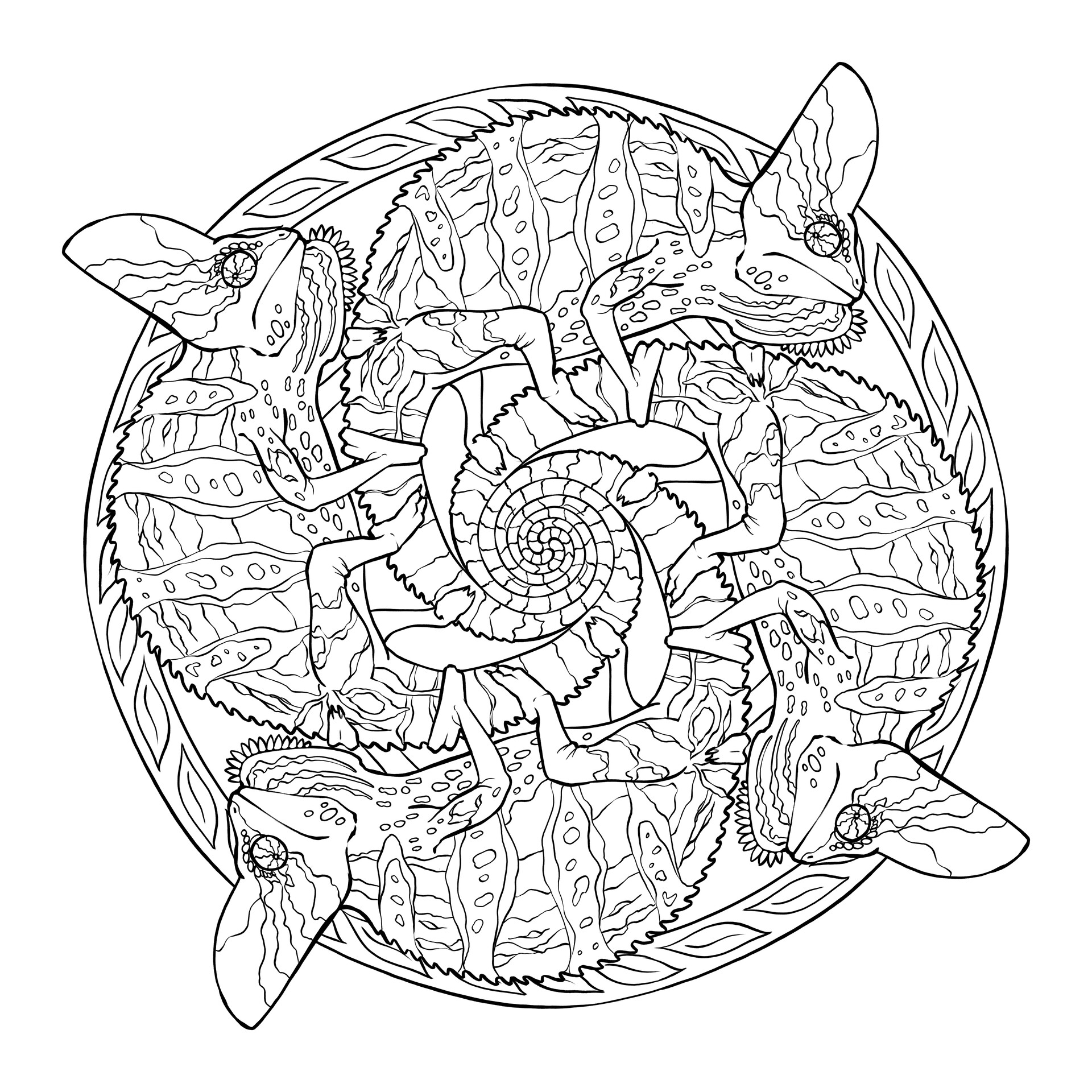 veiled chameleon coloring page