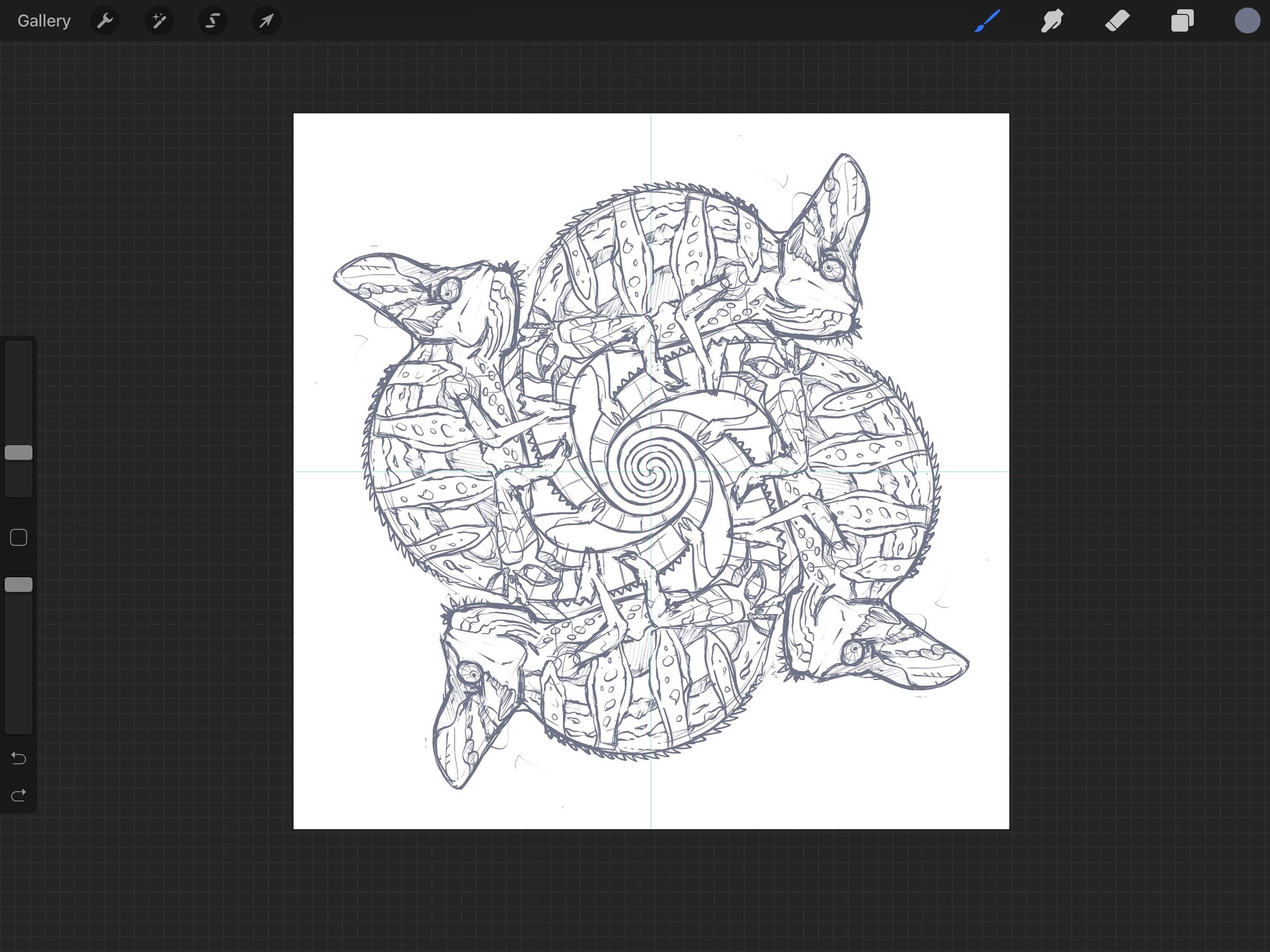 veiled chameleon coloring page