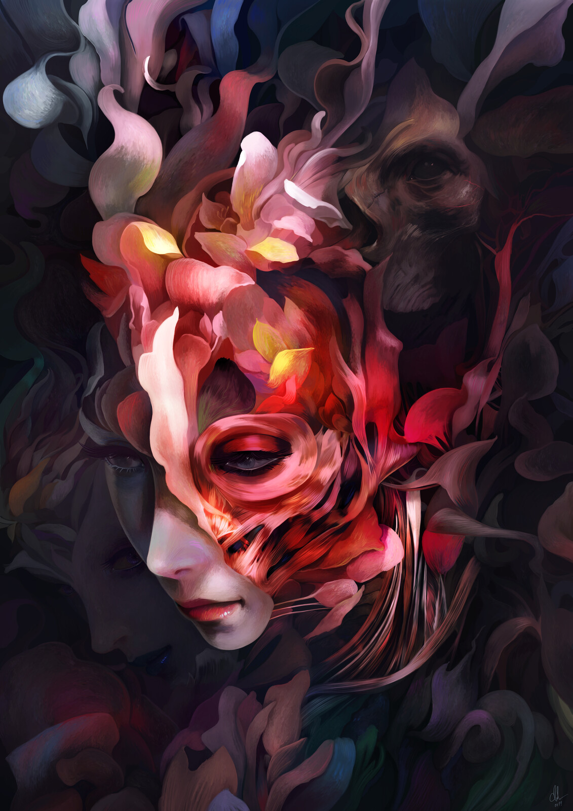 Elola Illustrator - Phases 1