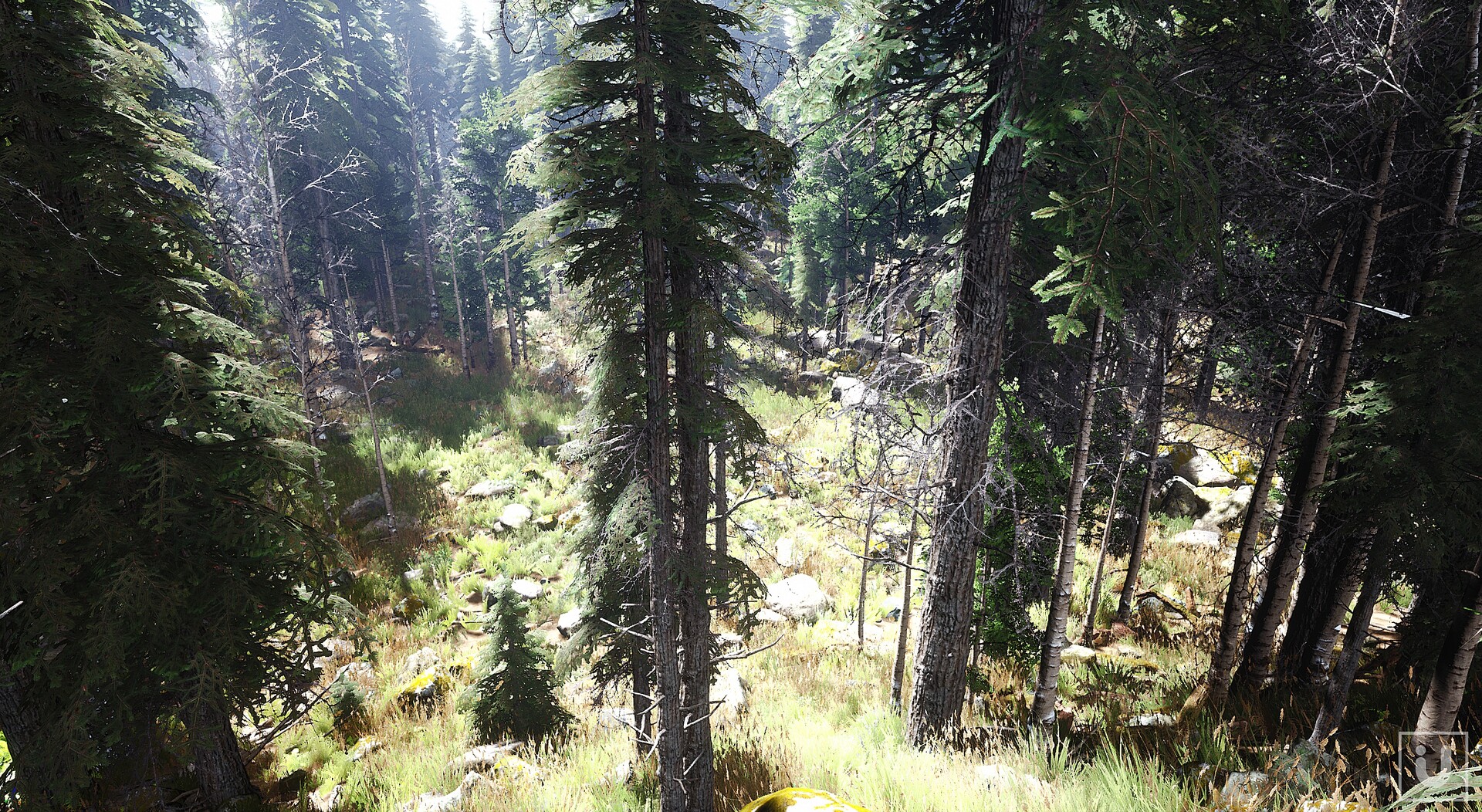 JLE Studios / i-U Asset Studios - Unreal Engine - The Forest ...