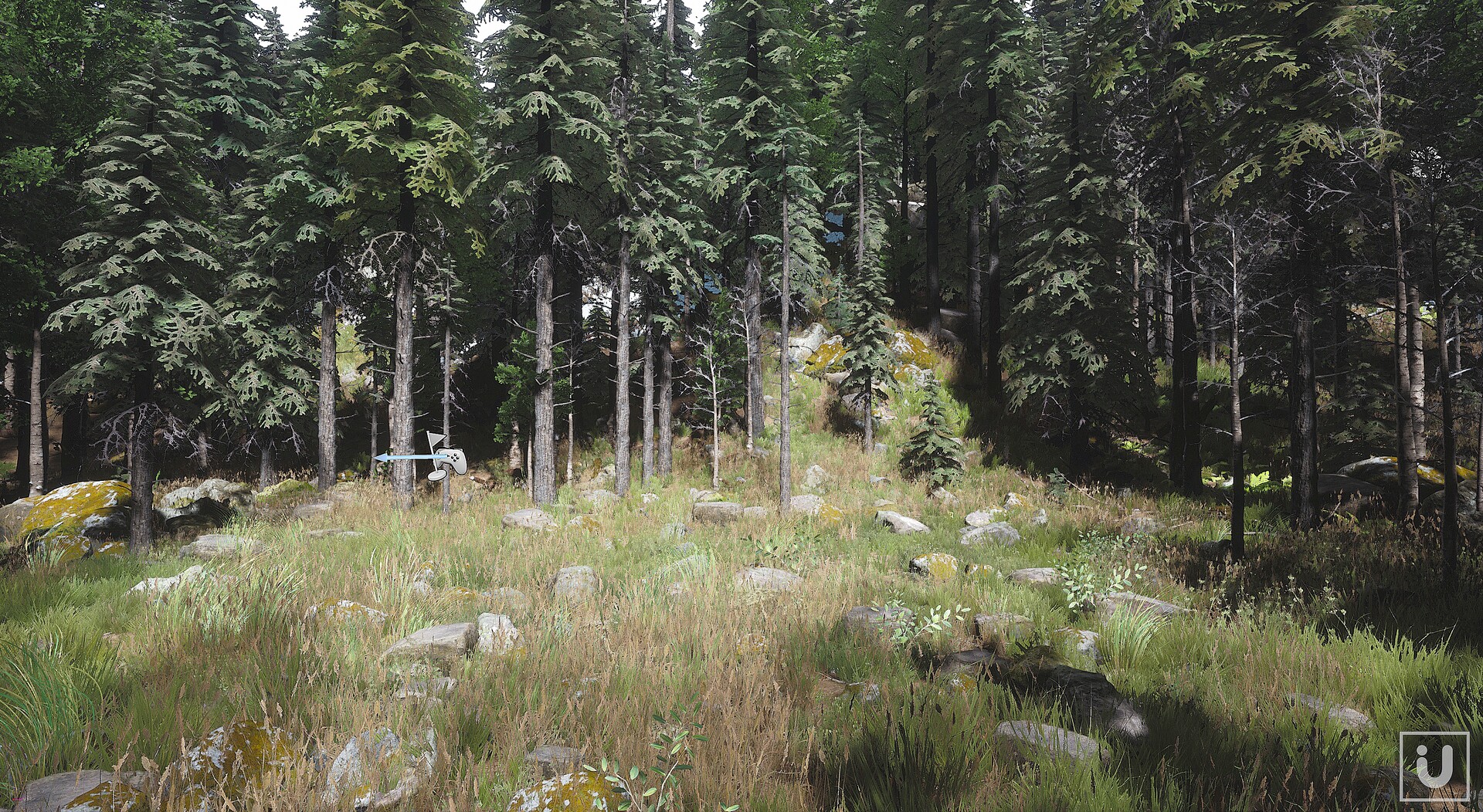 JLE Studios / i-U Asset Studios - Unreal Engine - The Forest ...