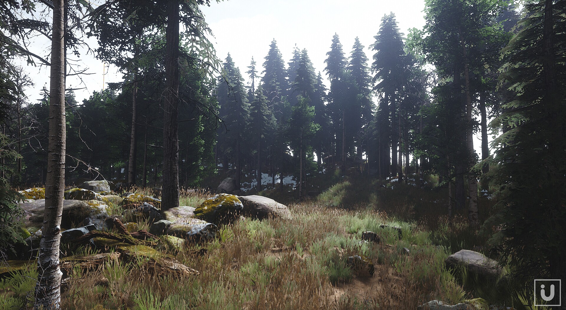 JLE Studios / i-U Asset Studios - Unreal Engine - The Forest ...