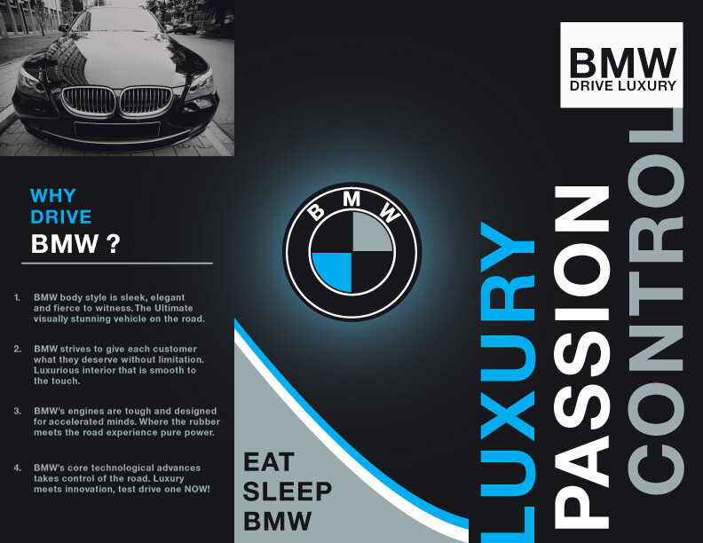 Dallas McEnany - BMW brochure