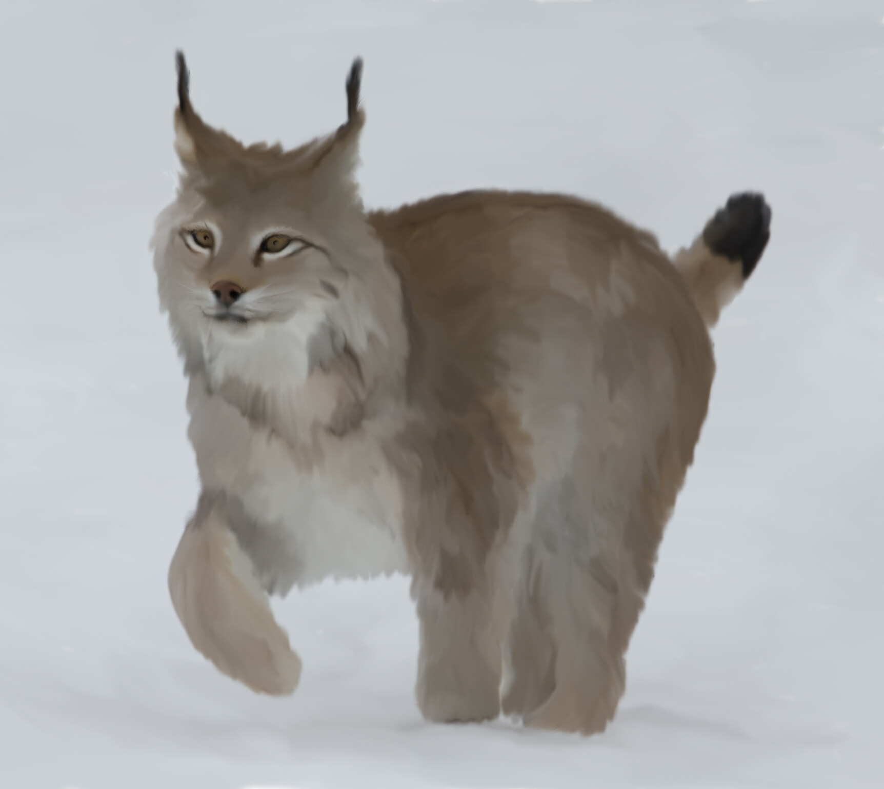 ArtStation - lynx