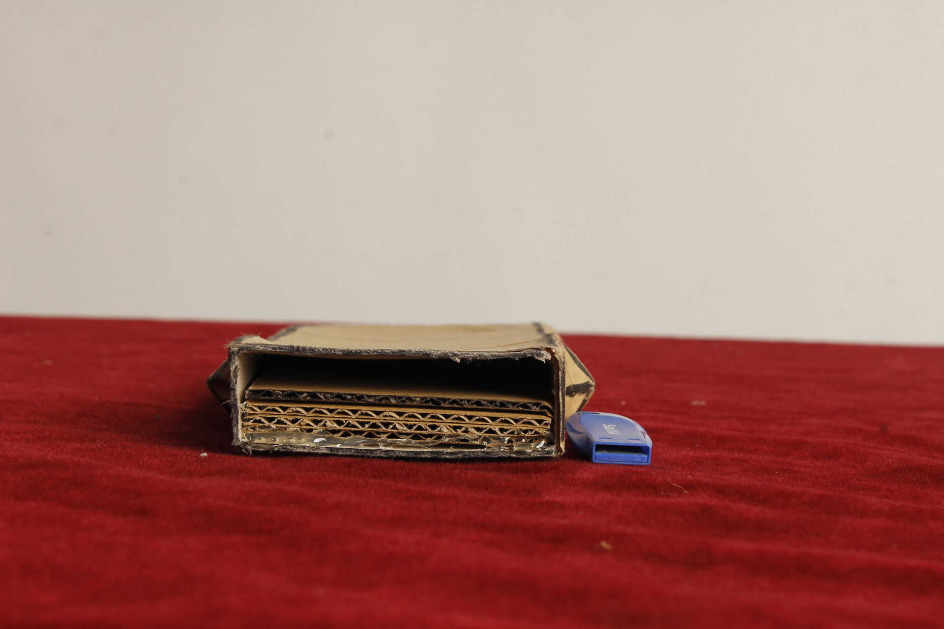 Rachel Starkey - USB Model