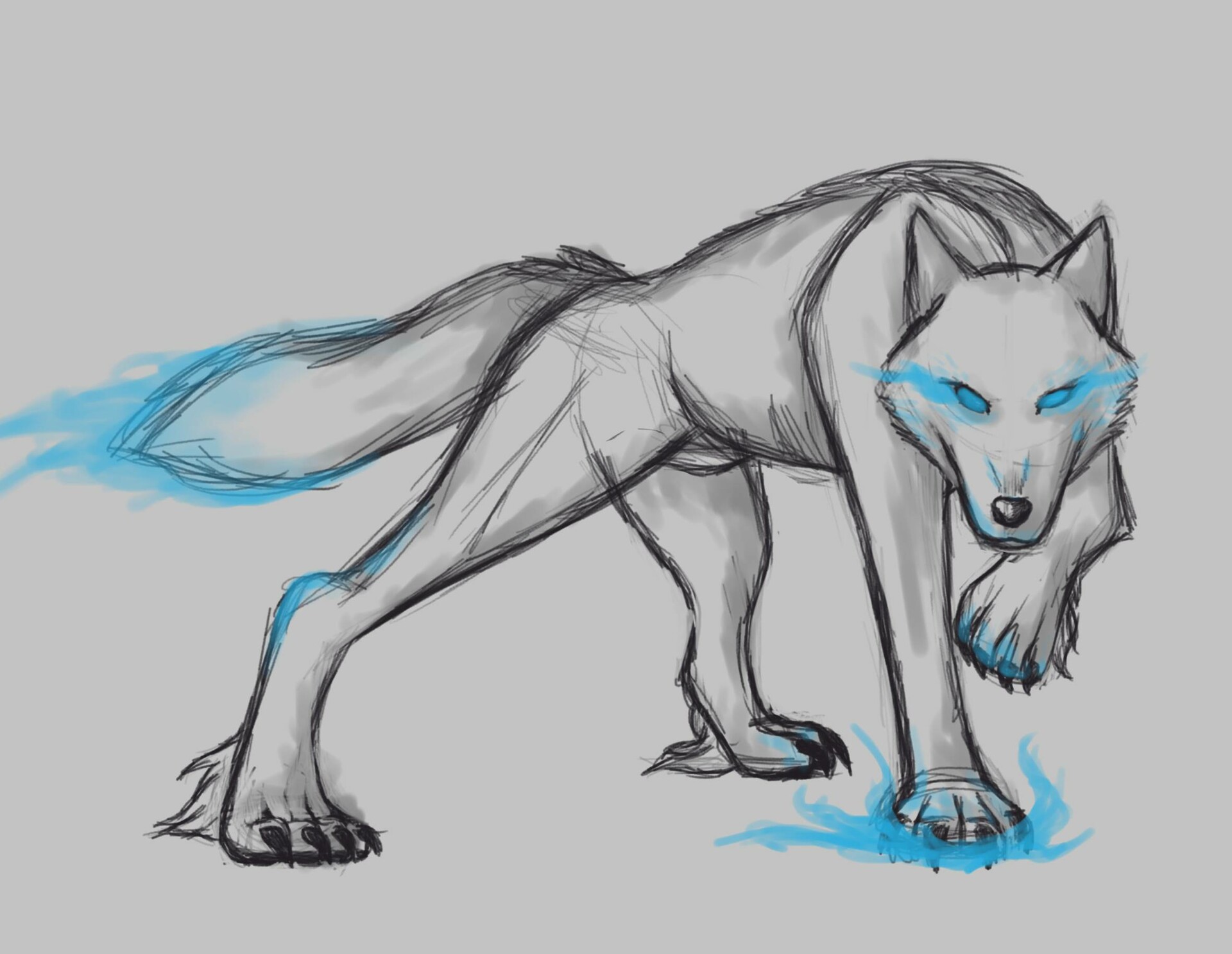 white wolf drawing