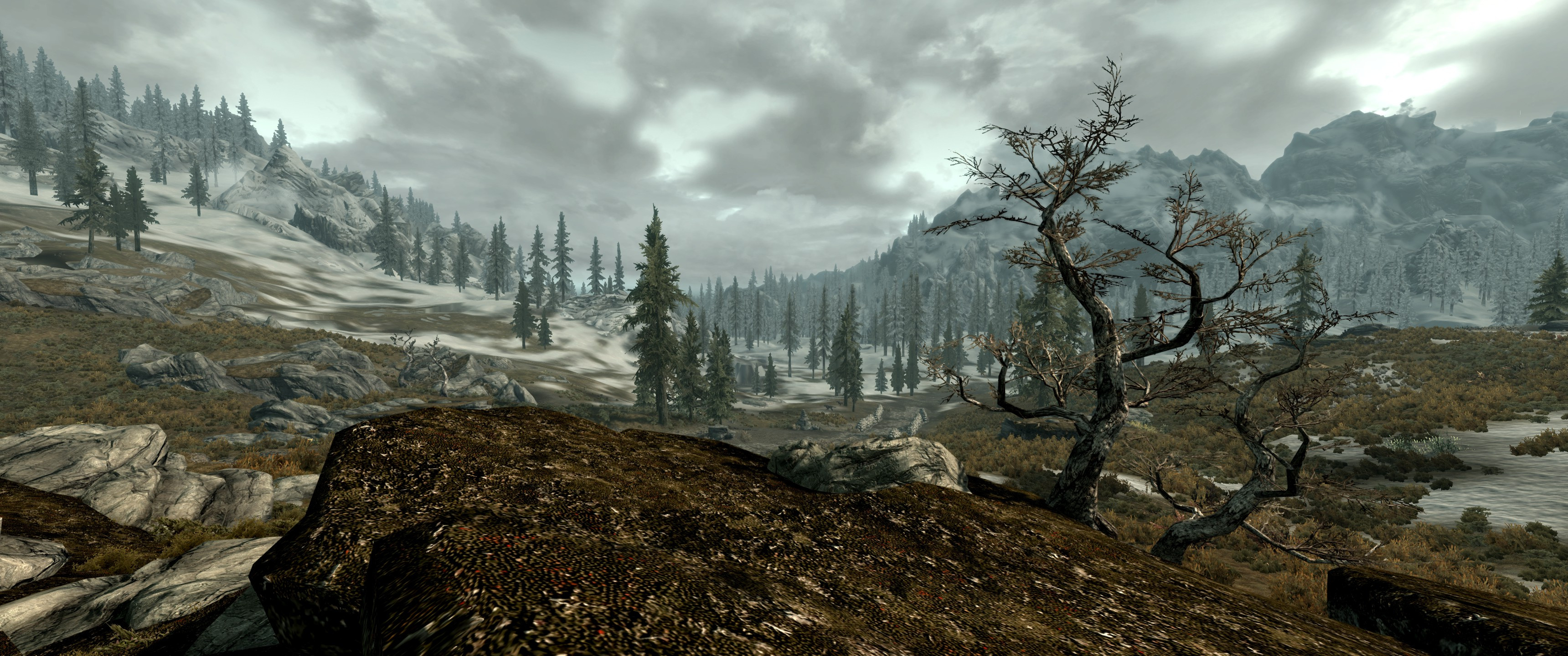 Trey Sharp - The Elder Scrolls V: Skyrim - Tundra