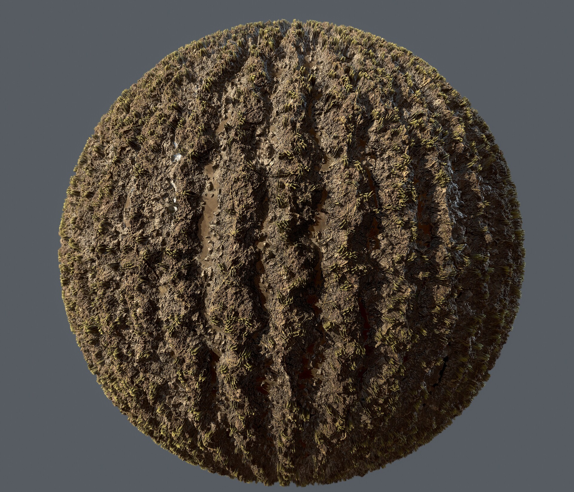 ArtStation - Farm Ground