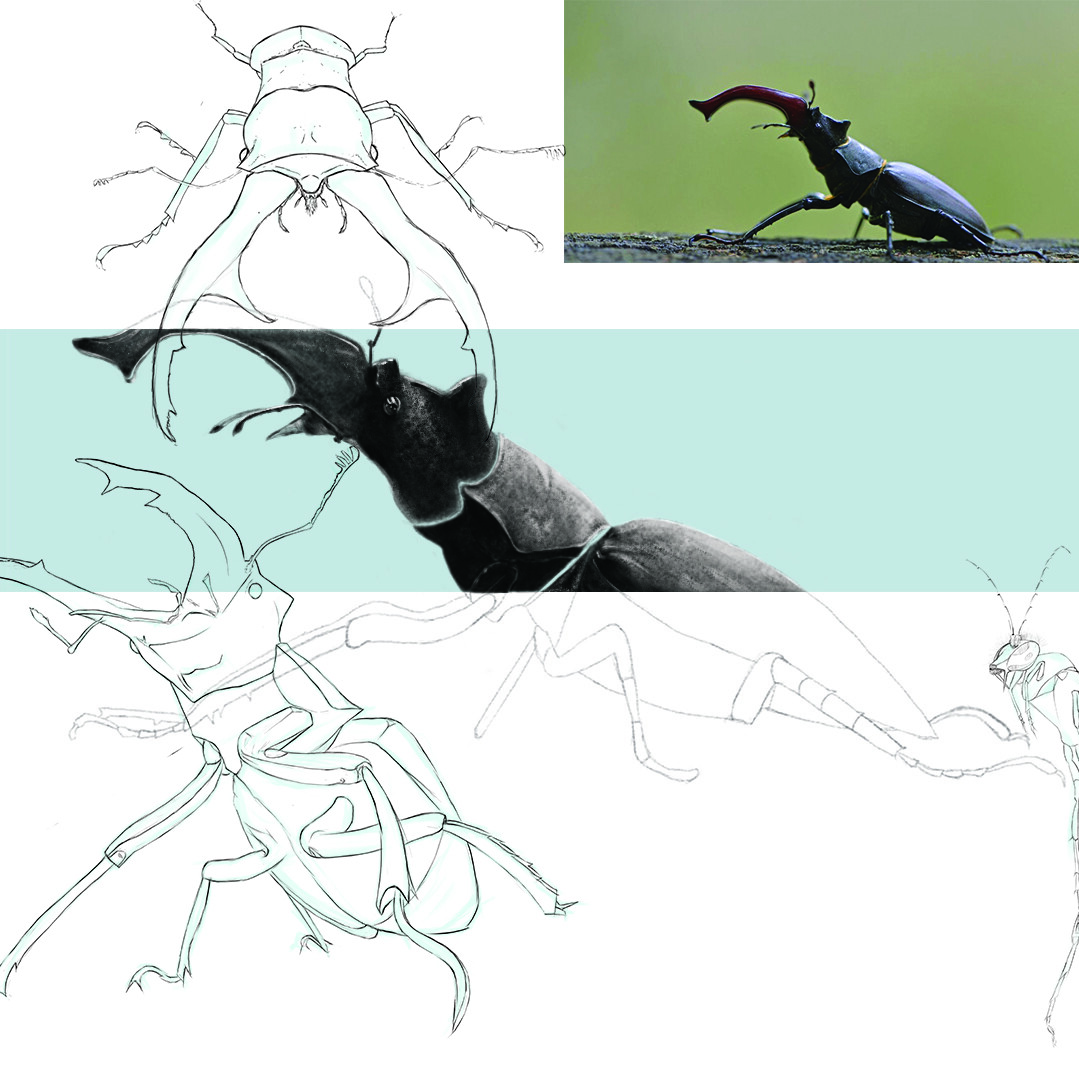 ArtStation - insect 0.1