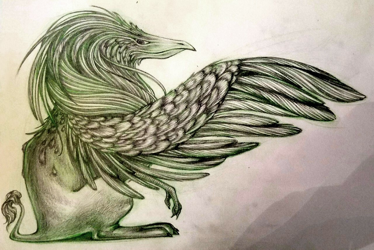 ArtStation - Griffin Character design sketch