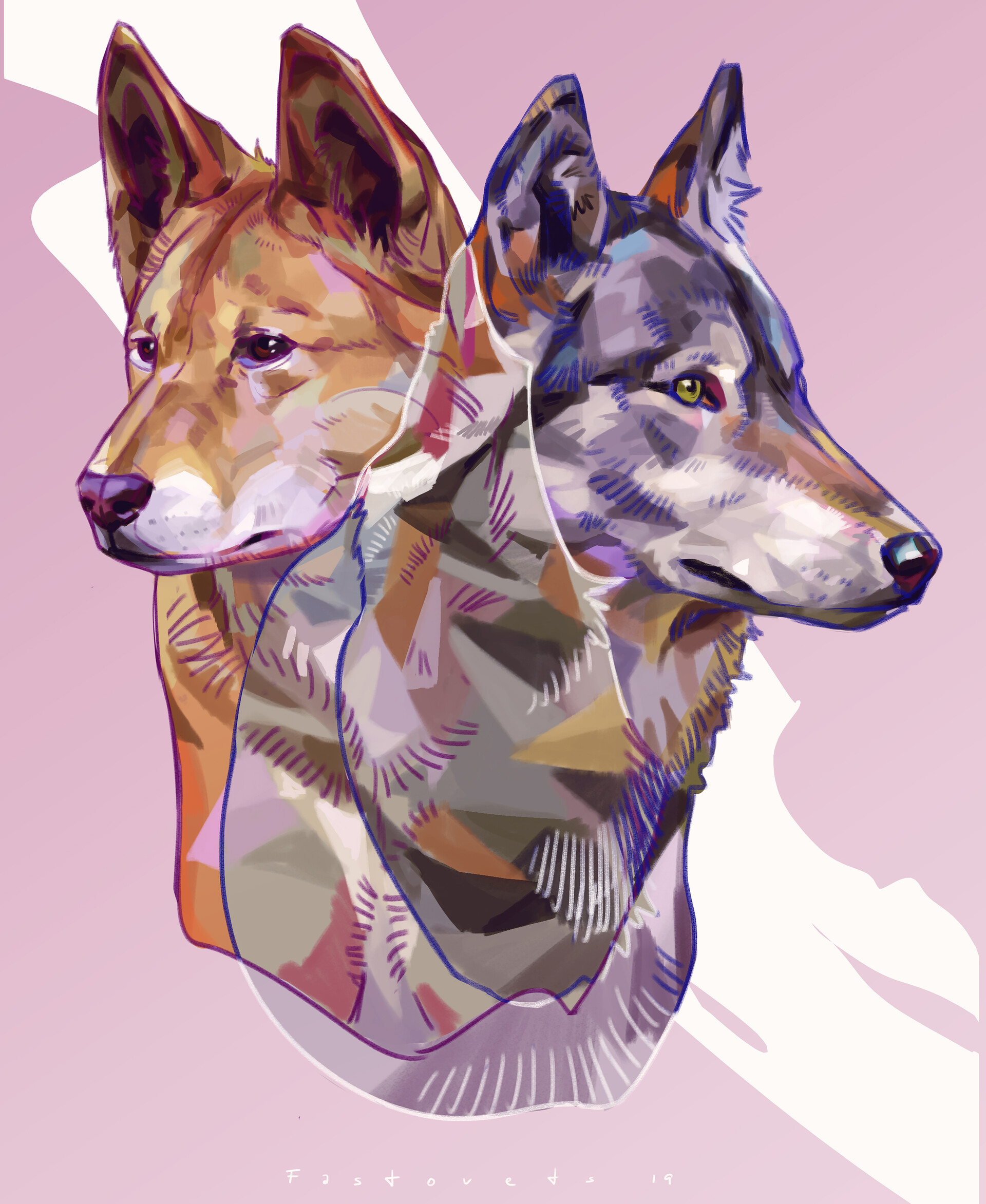 When Does A Tamaskan Dog Mature