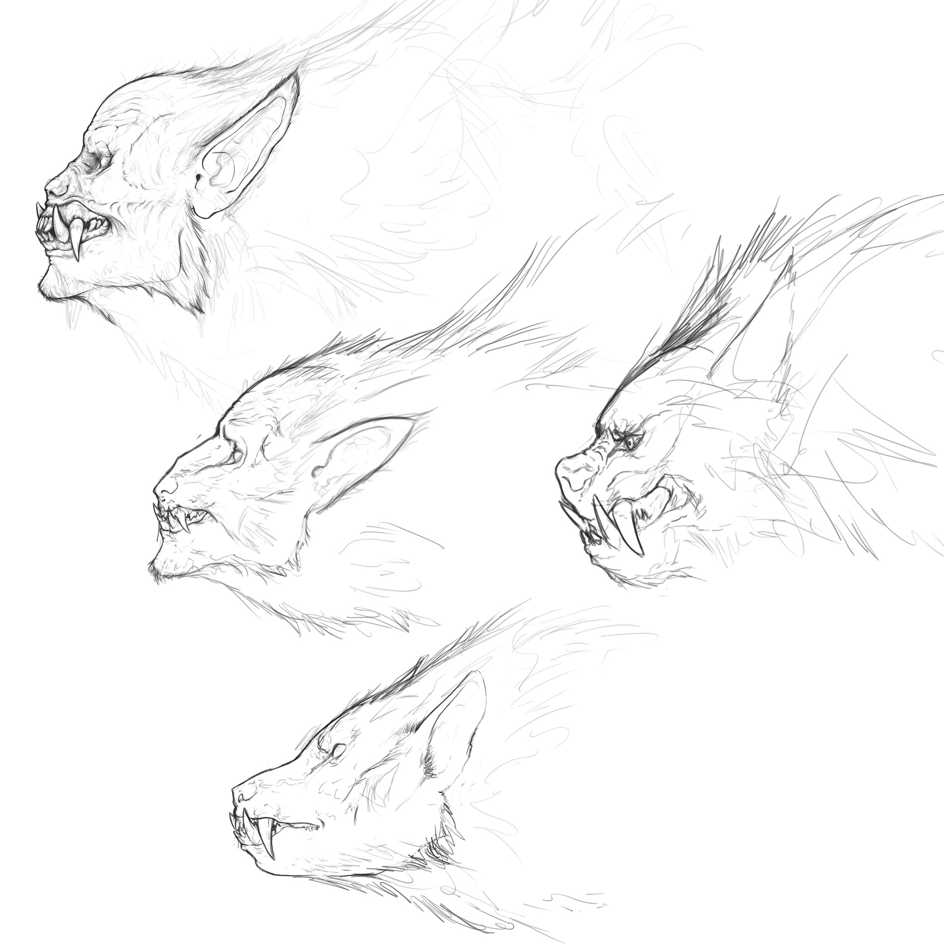 werewolf drawing reference