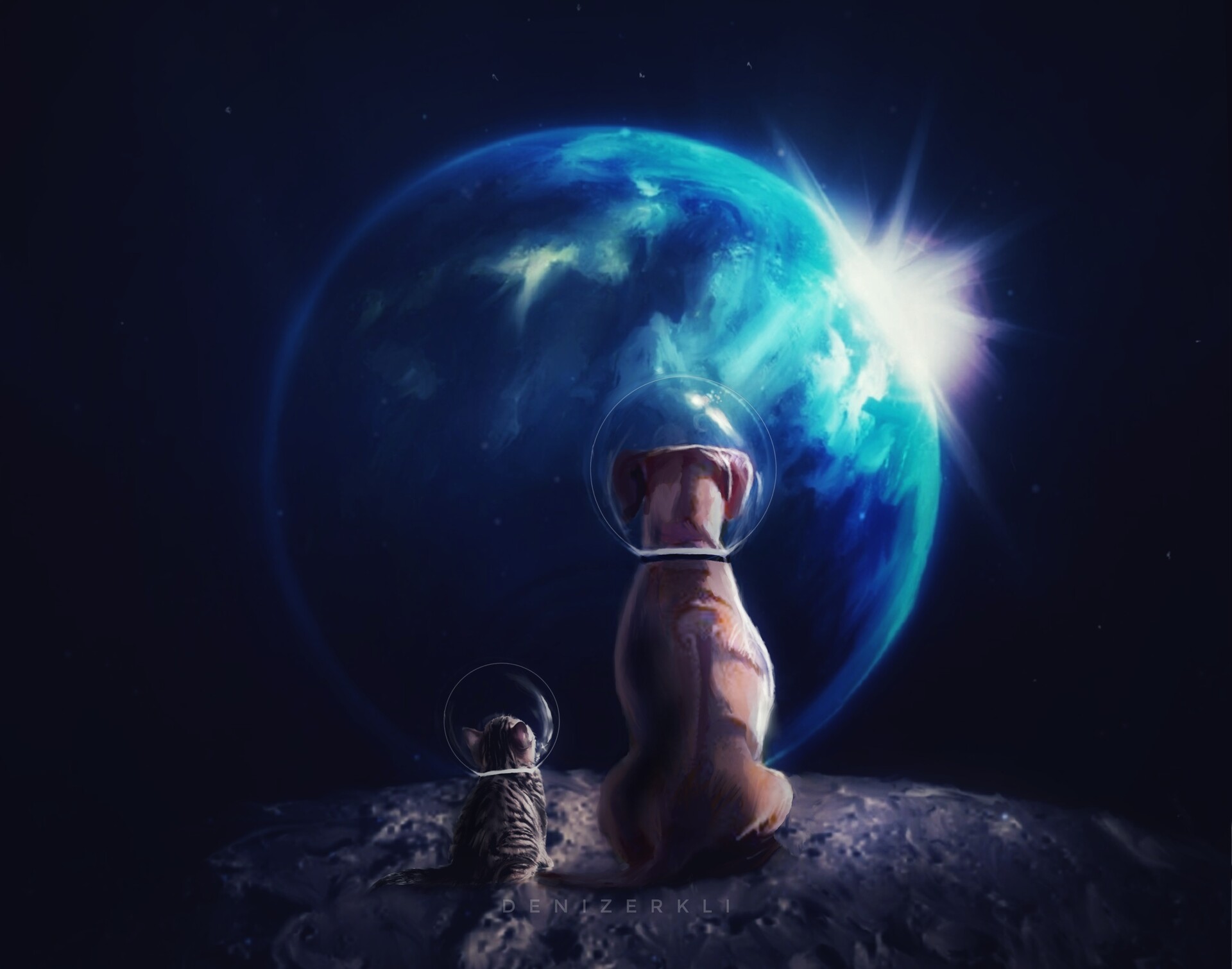 ArtStation - Astro Doggy and Astro Kitty