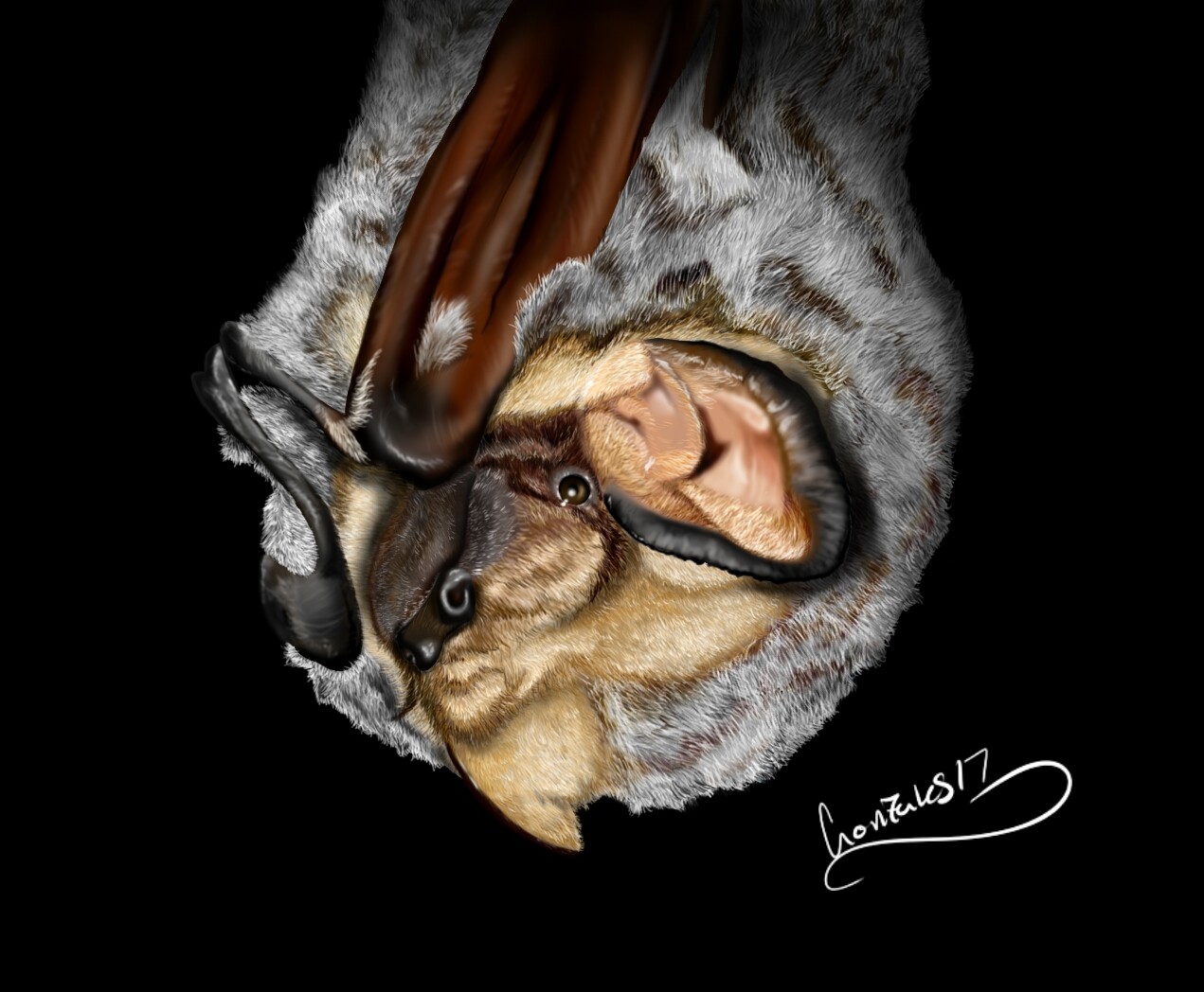 ArtStation - Hoary Bat