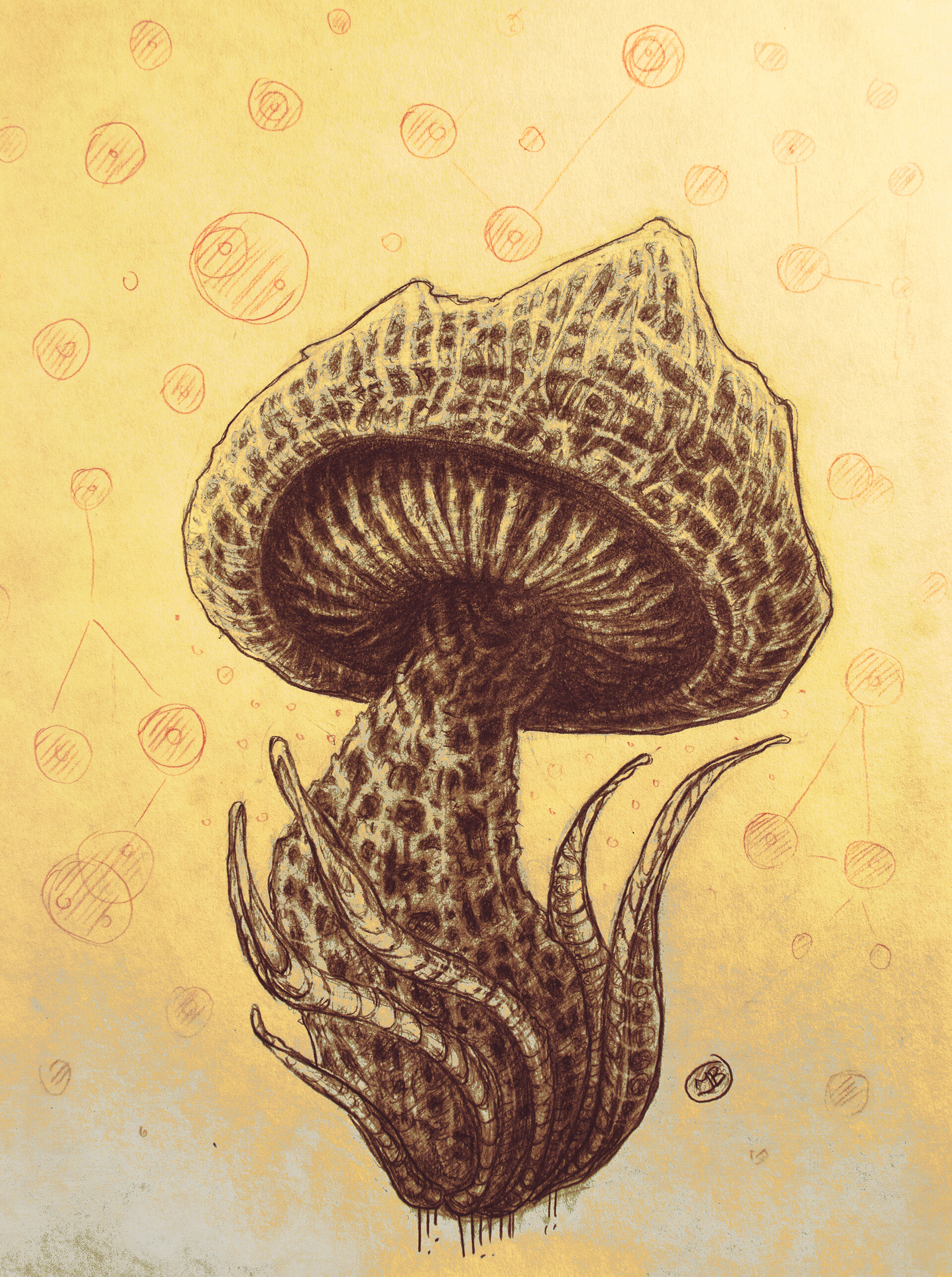 ArtStation - 'Shroom