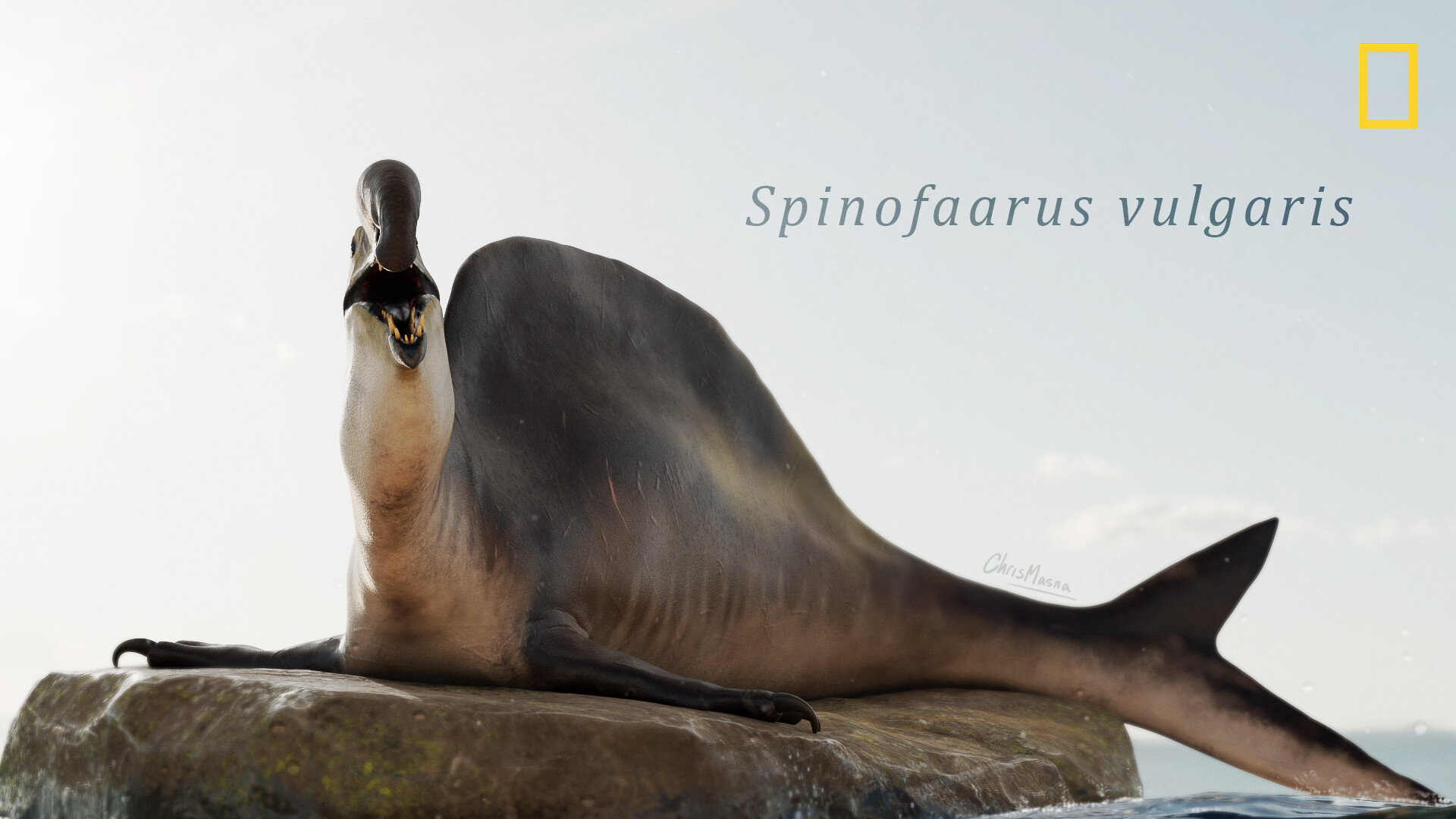 Chris Masna - Spinofaarus vulgaris