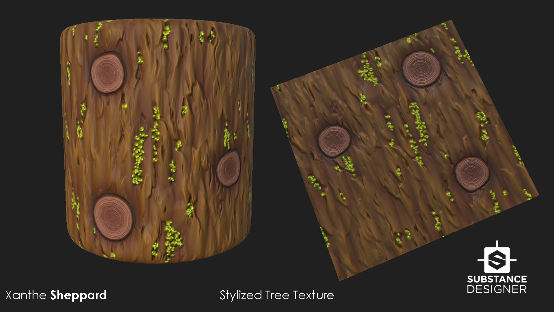 tree trunk texture stylized