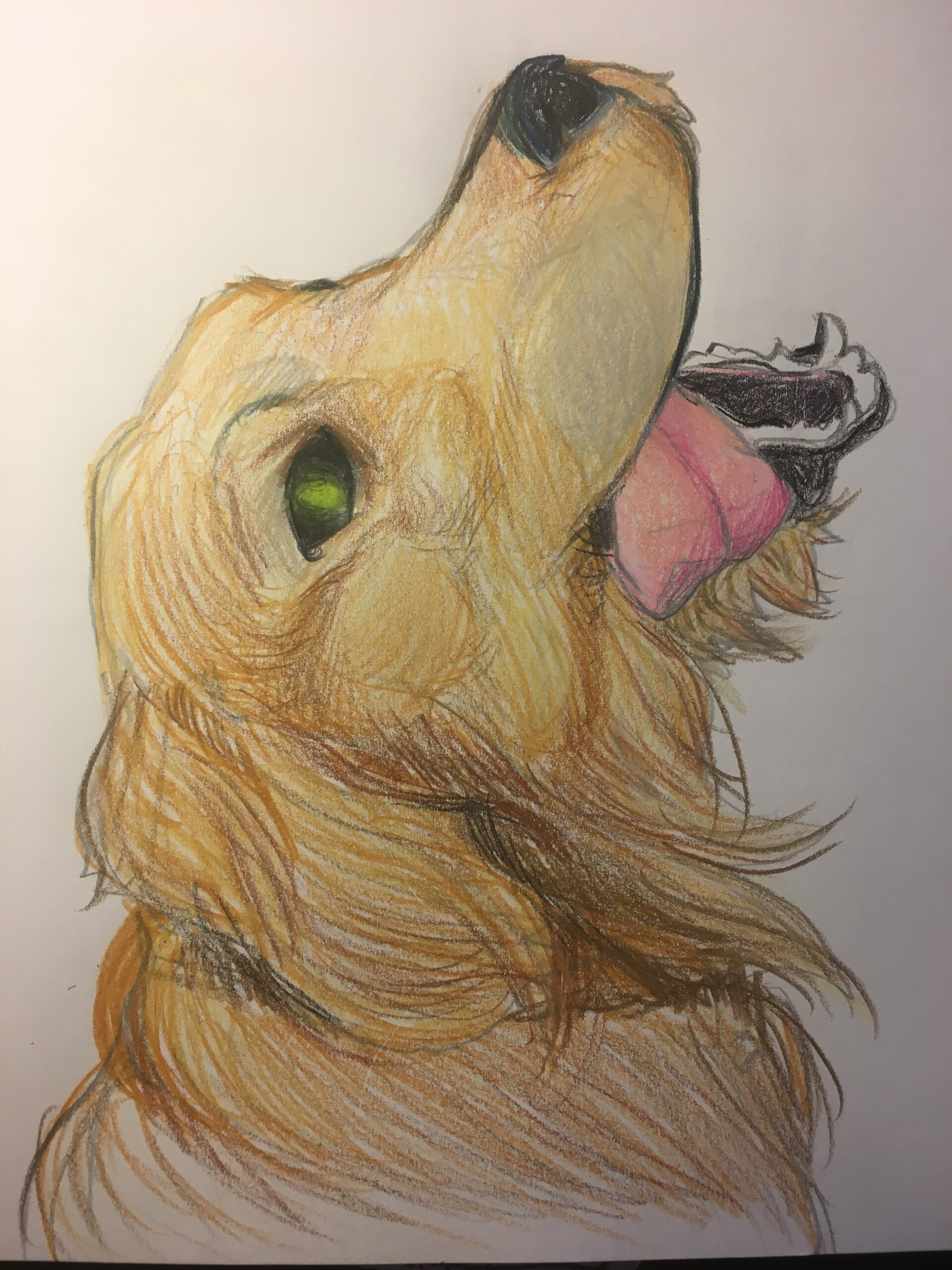 ArtStation - Angelo!