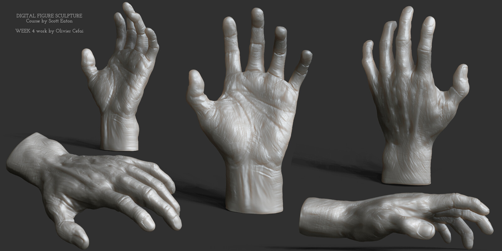 Olivia Cefai - Realistic hand - sculpting from live reference
