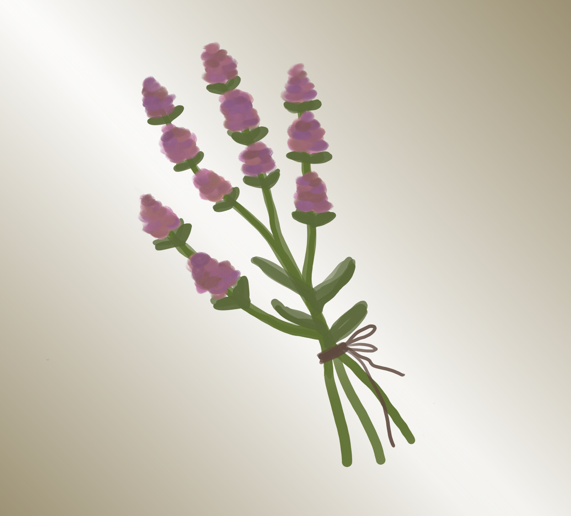 ArtStation - Lavender Study