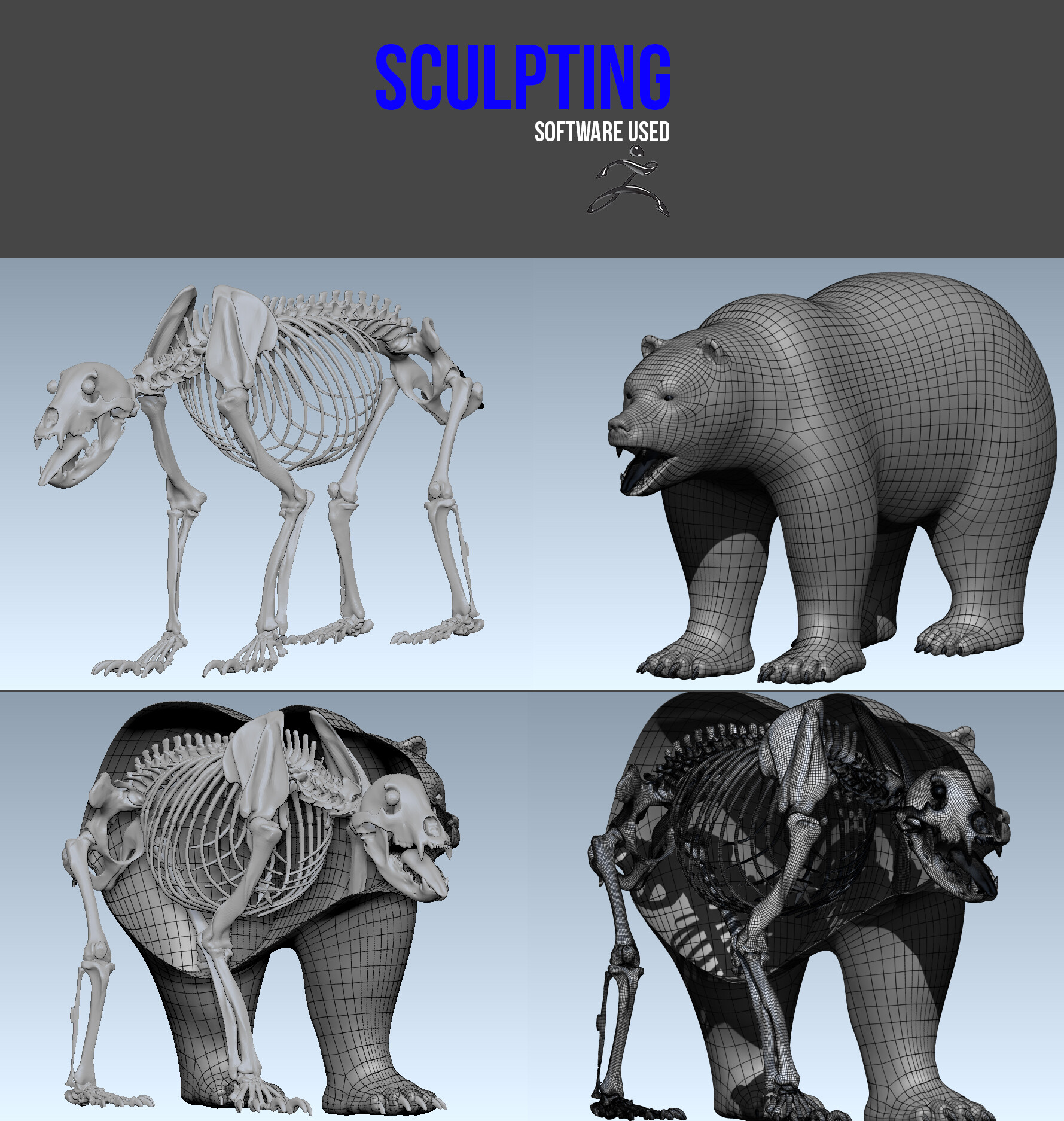 Adel Kenzai - grizzly bear