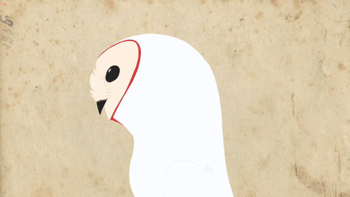 ArtStation - Owl Animation