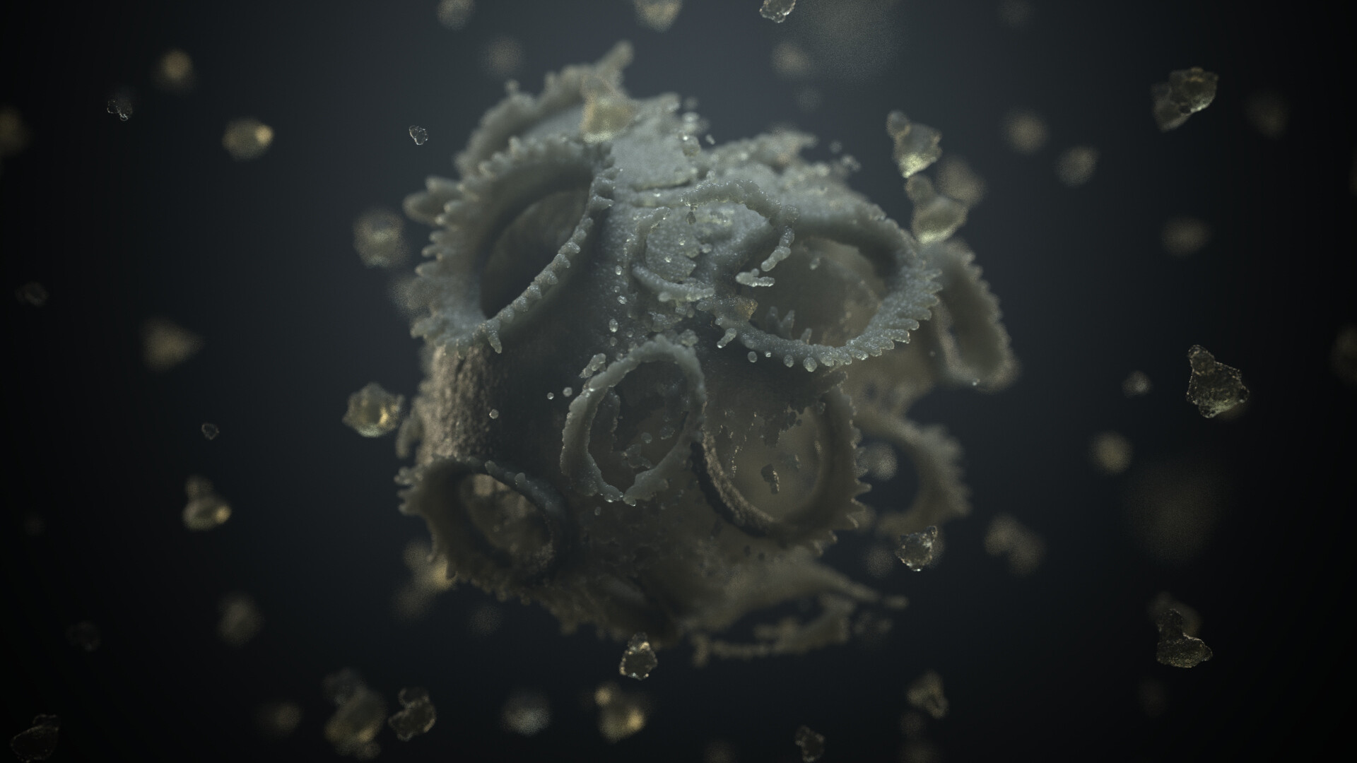 ArtStation - ct scan of a coccolithophore