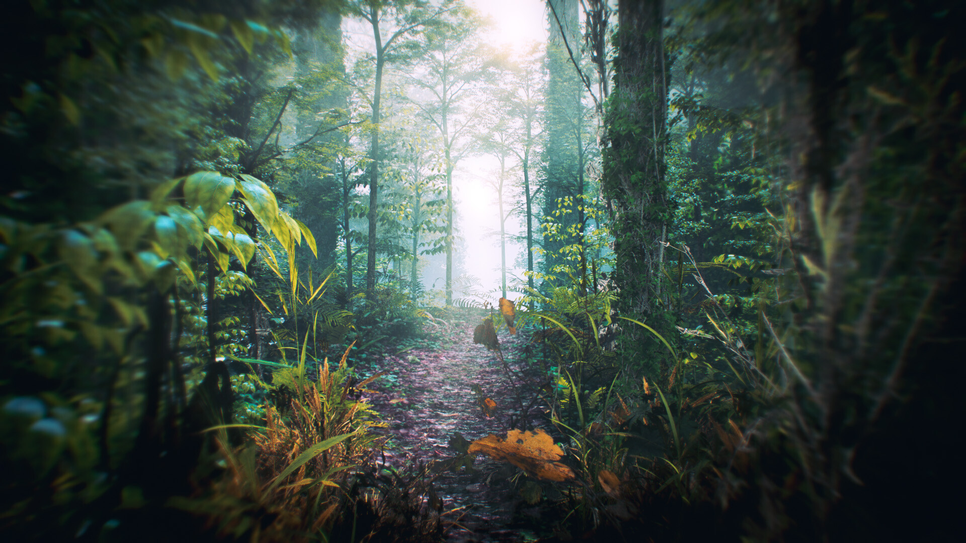 ArtStation - Forest