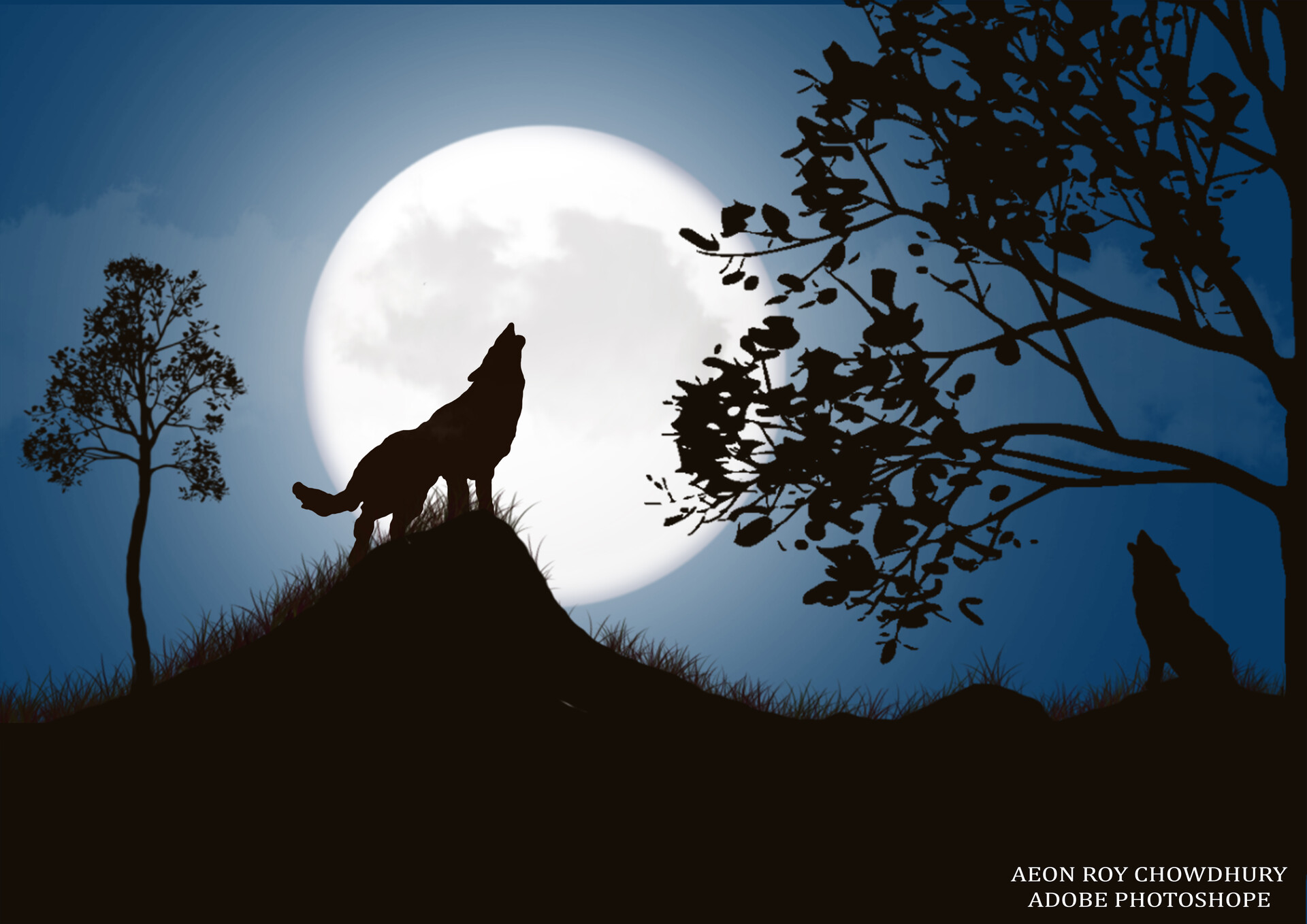 ArtStation - Night View