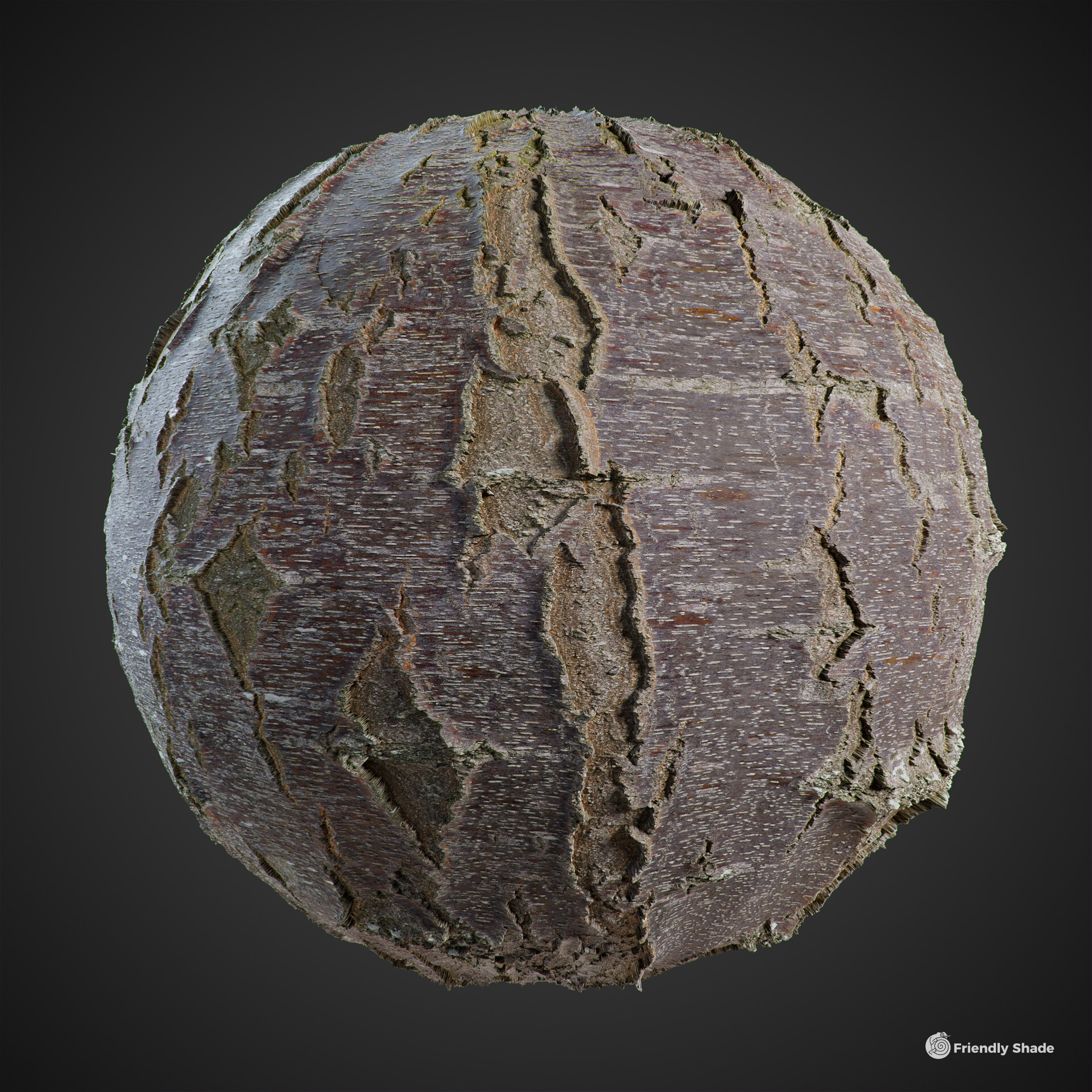 ArtStation - Friendly Shade - Birch Tree Bark 01 Preview