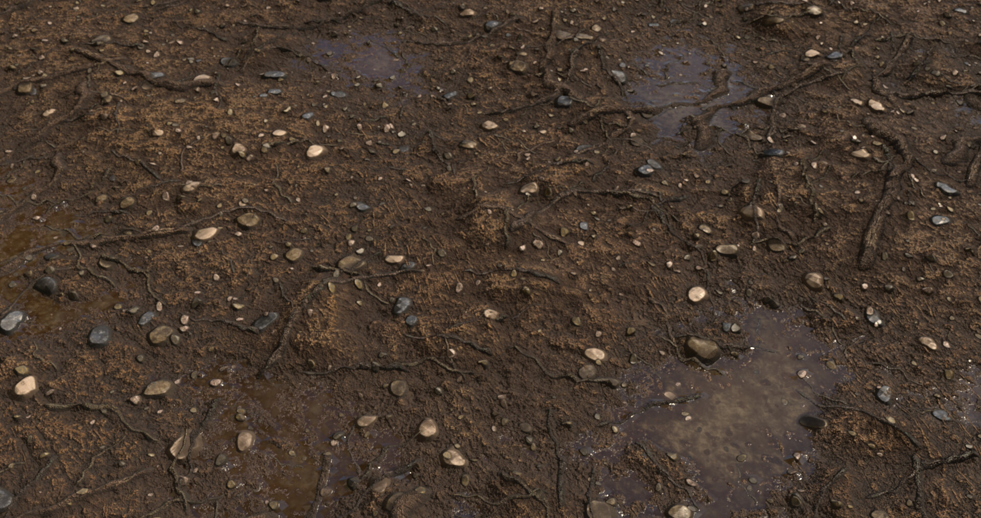 Raphaelle Lussier - Muddy Ground - Substance Designer