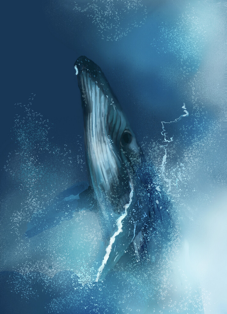 ArtStation - Whale study