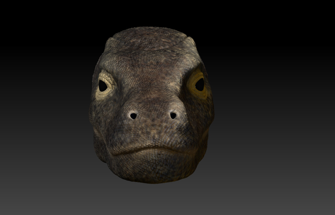 dragon head front side