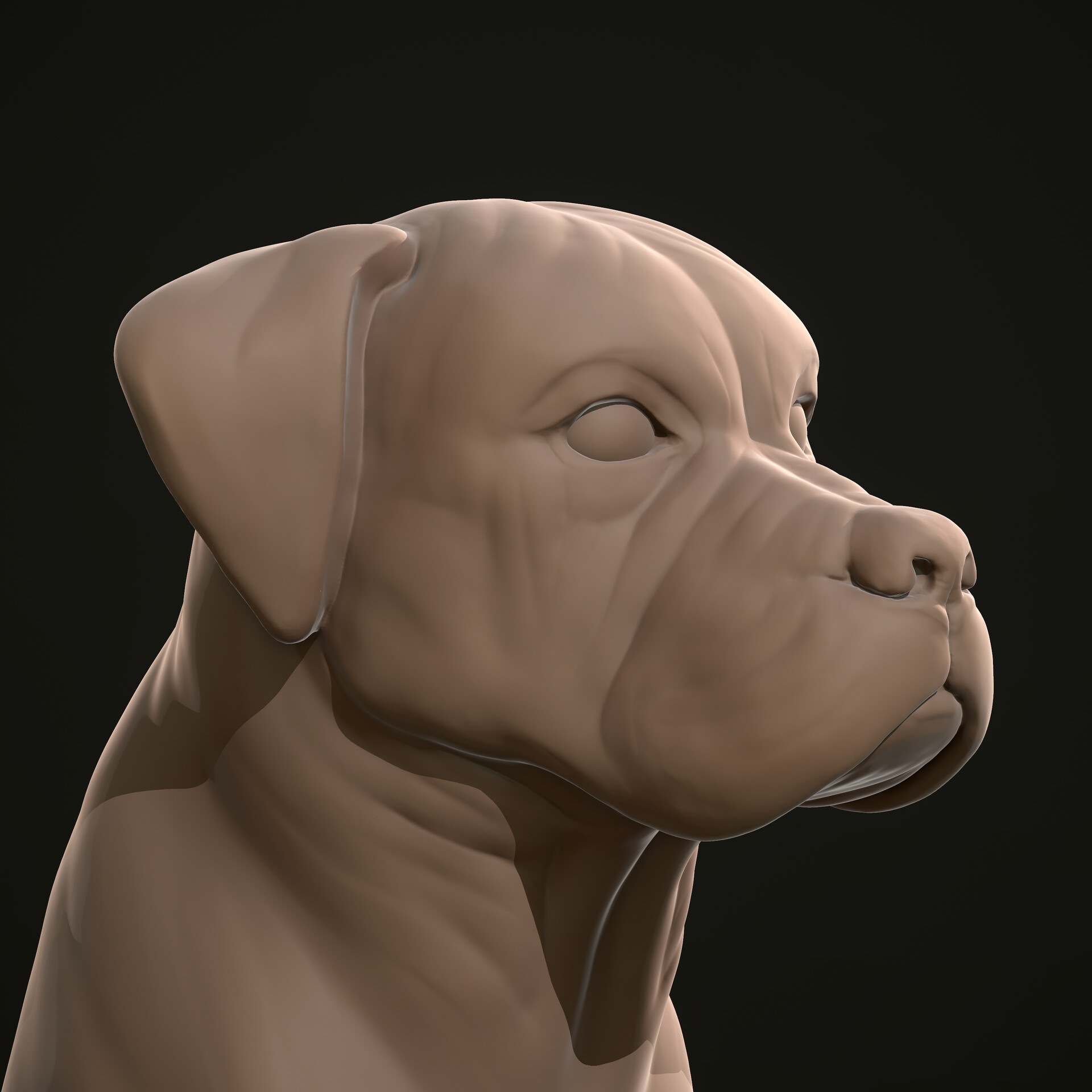 ArtStation - Boxer (Speed sculpt)