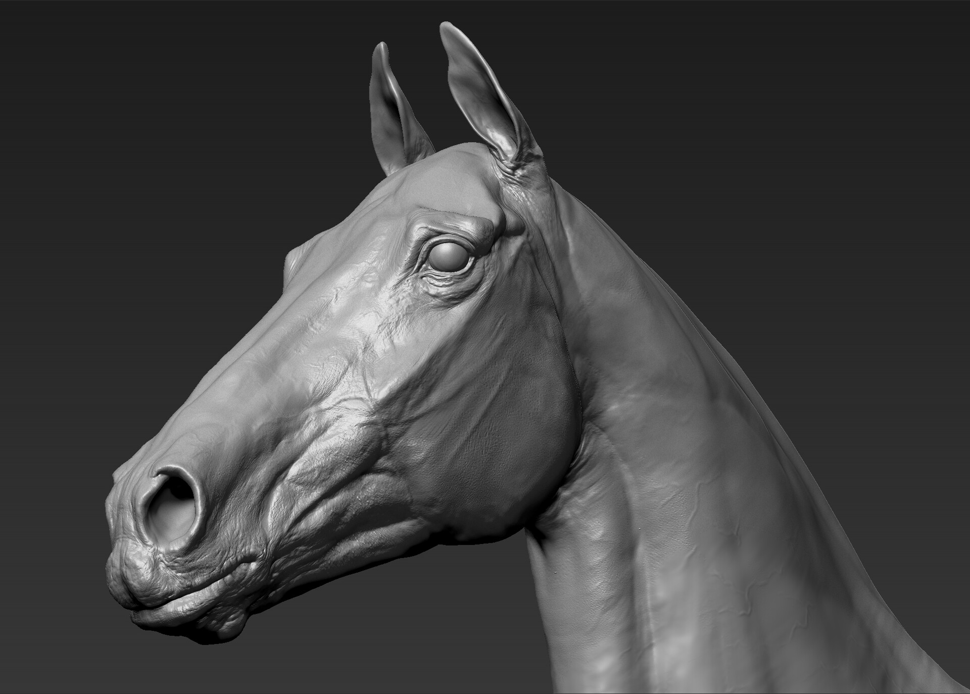 ArtStation - horse