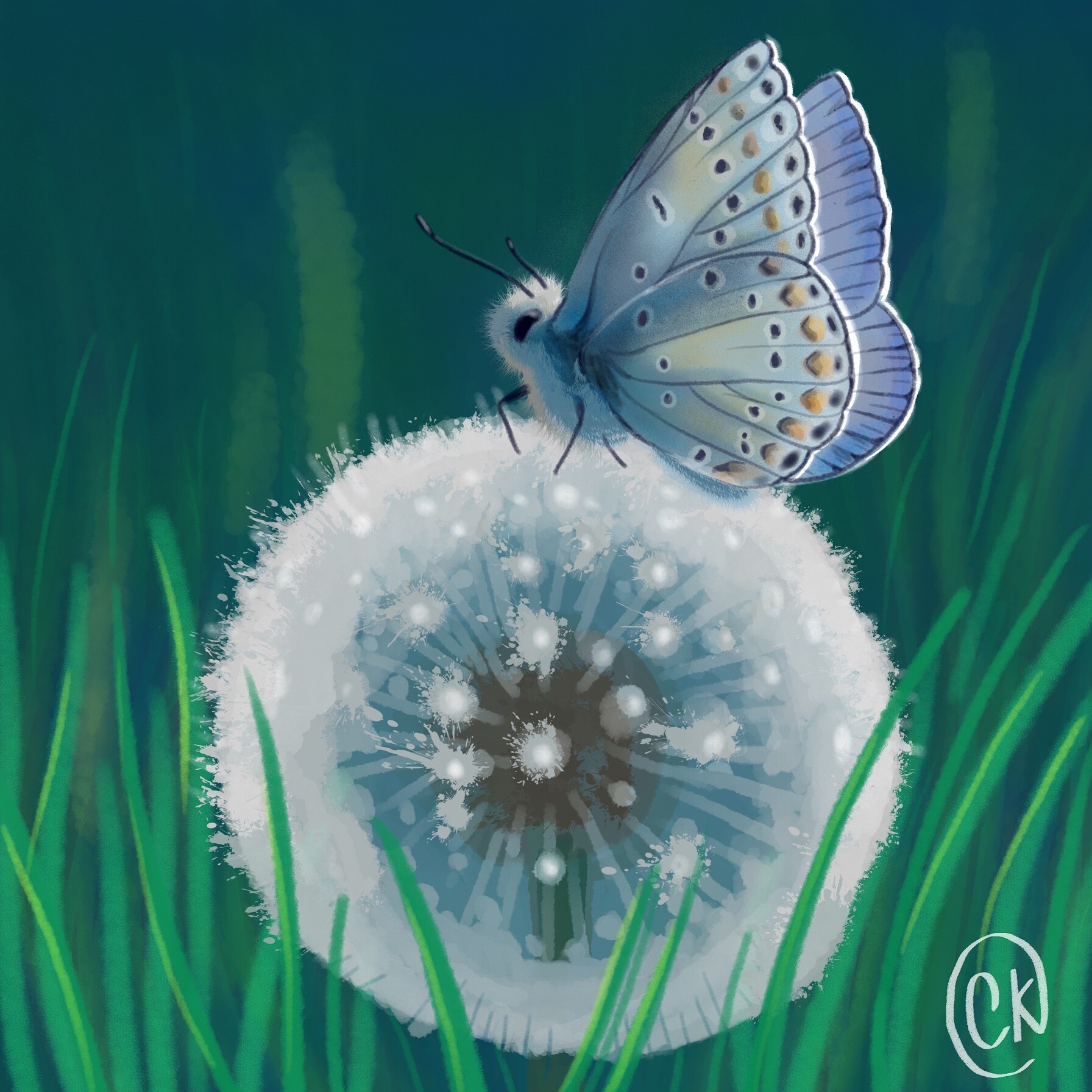 ArtStation - Blue Moth