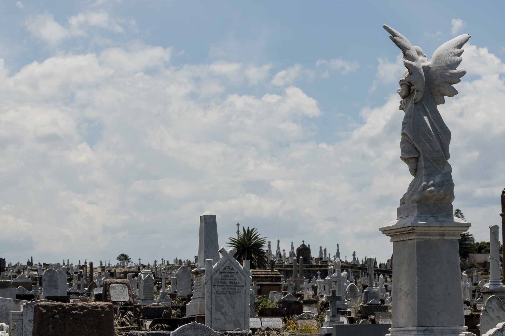 FOTOREF.COM Photo Packs - 109 photos of Tropical Cemetery
