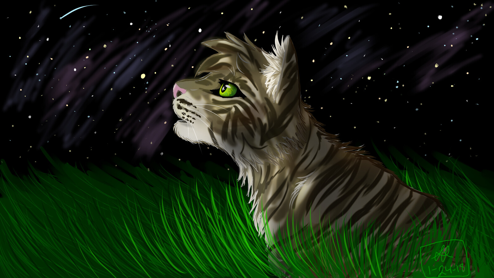 Sara Seaman - Stargazer