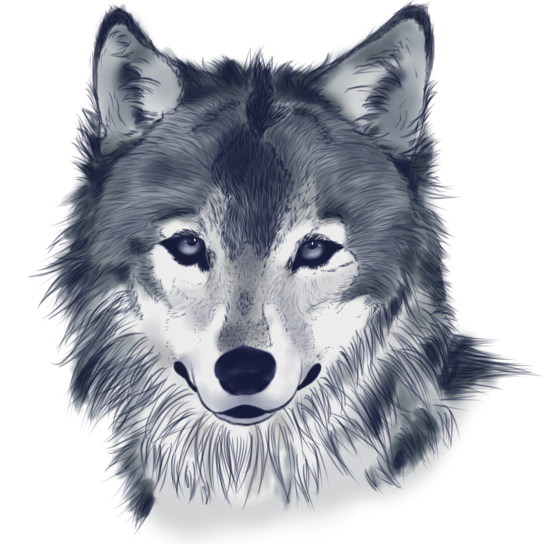 ArtStation - 2D, Marcus Dempwolf