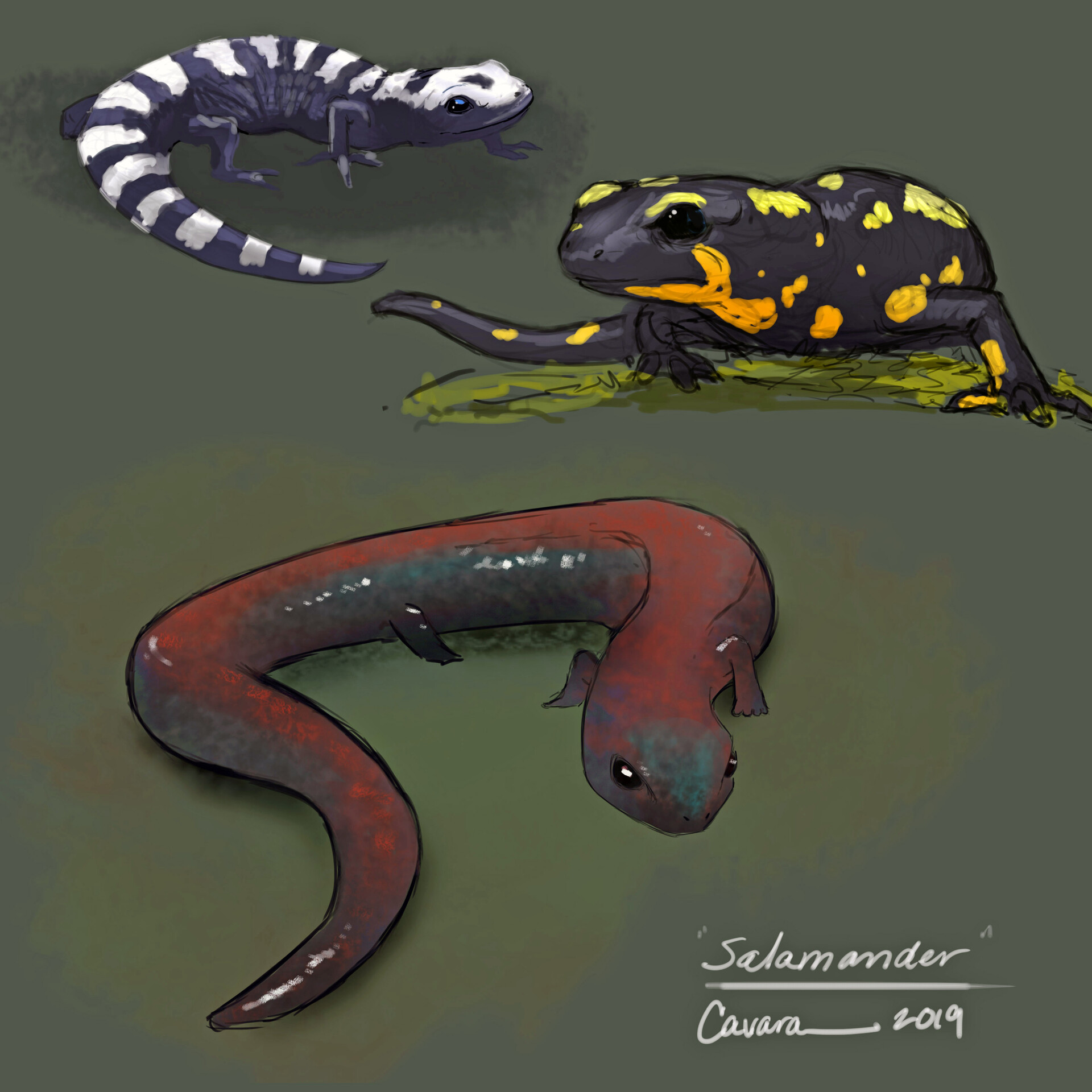 ArtStation - Salamanders